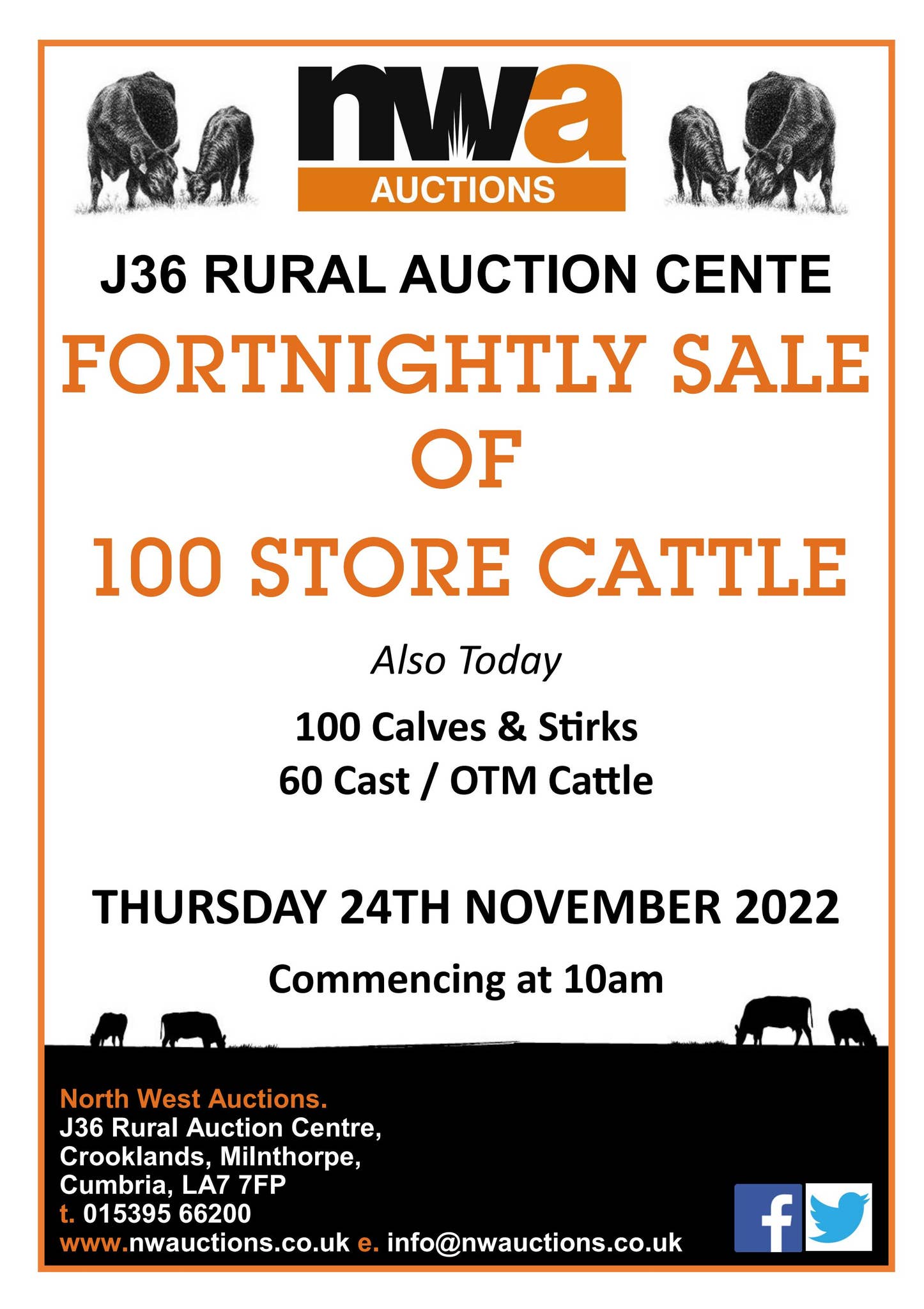 NWA J36 Store Cattle, Thursday 24th November 2022. by North West ...