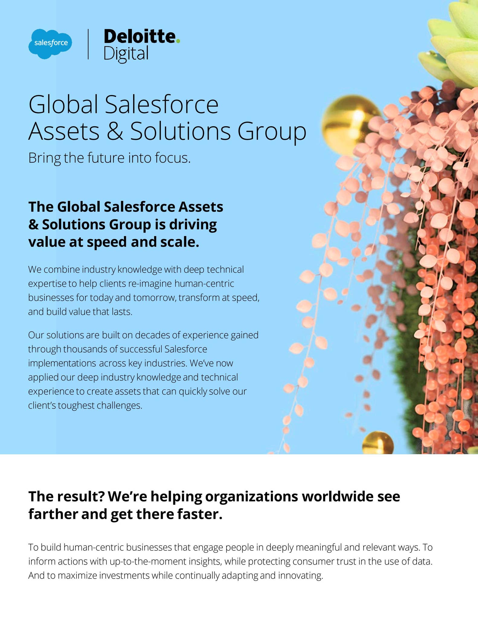 Global Salesforce Assets & Solutions Group by aakashmalhotra175 - Issuu