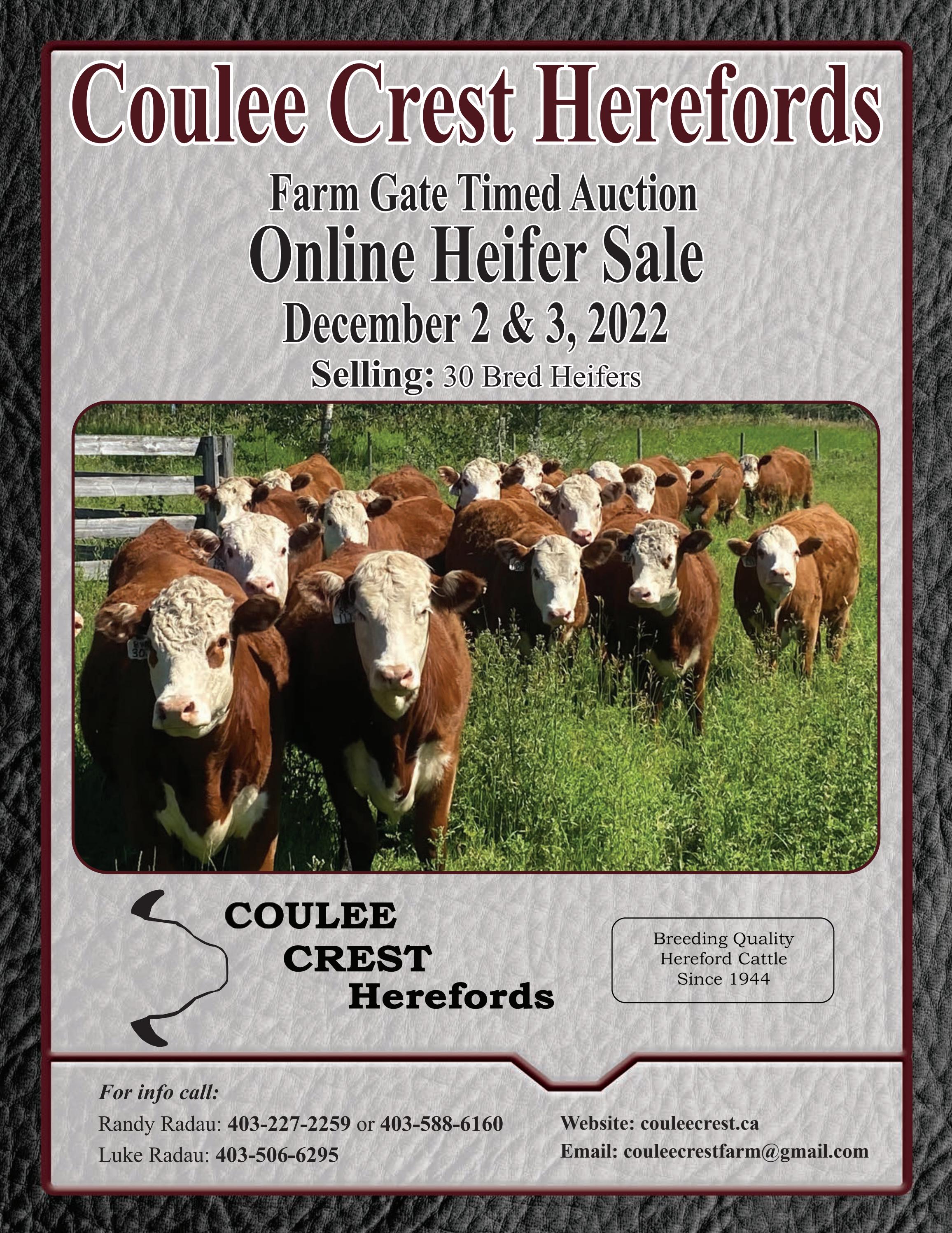 Coulee Crest Herefords Bred Heifer Sale - DLMS Farm Gate Timed Auction ...