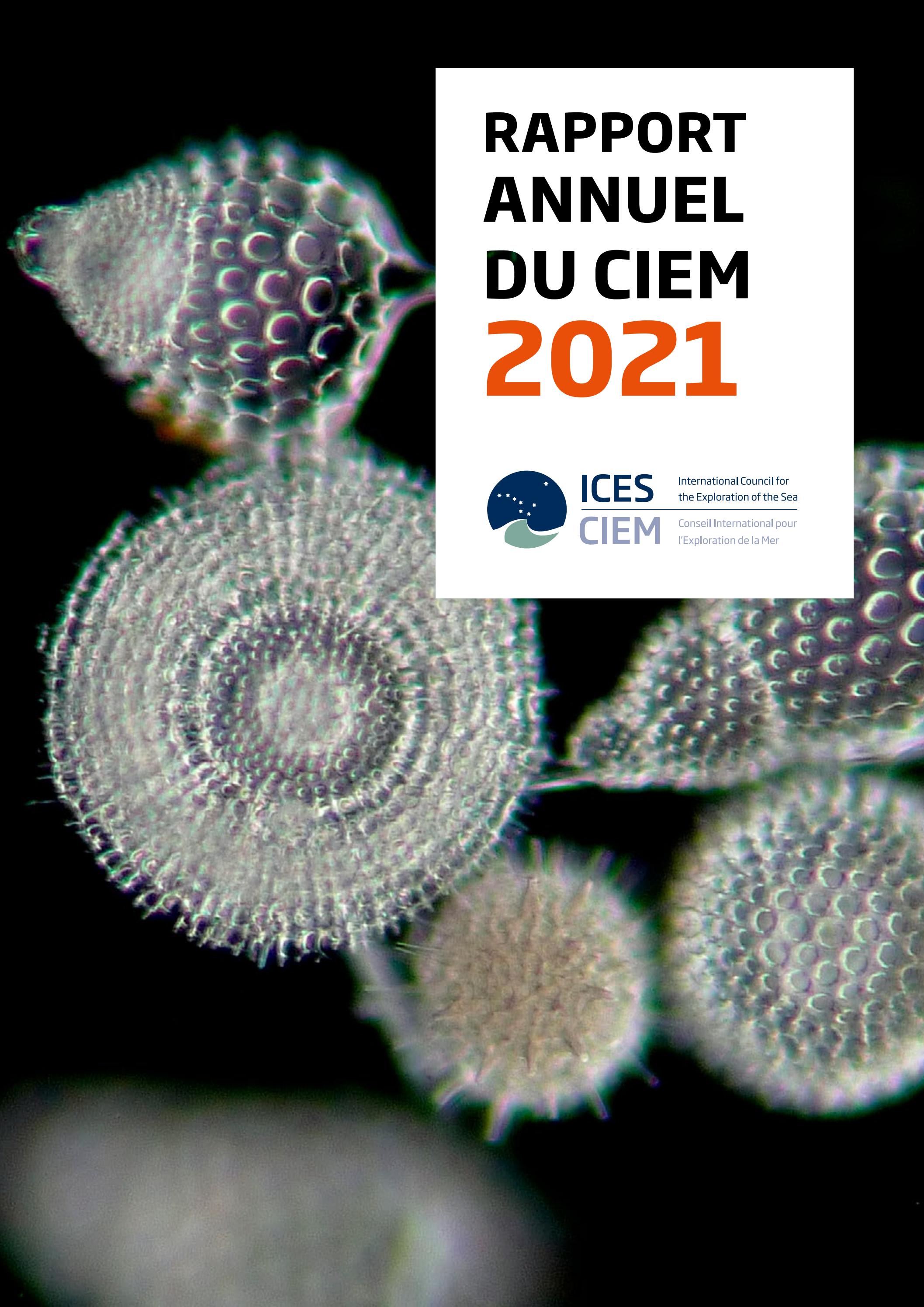Rapport Annuel du CIEM 2021 by ICES - Issuu