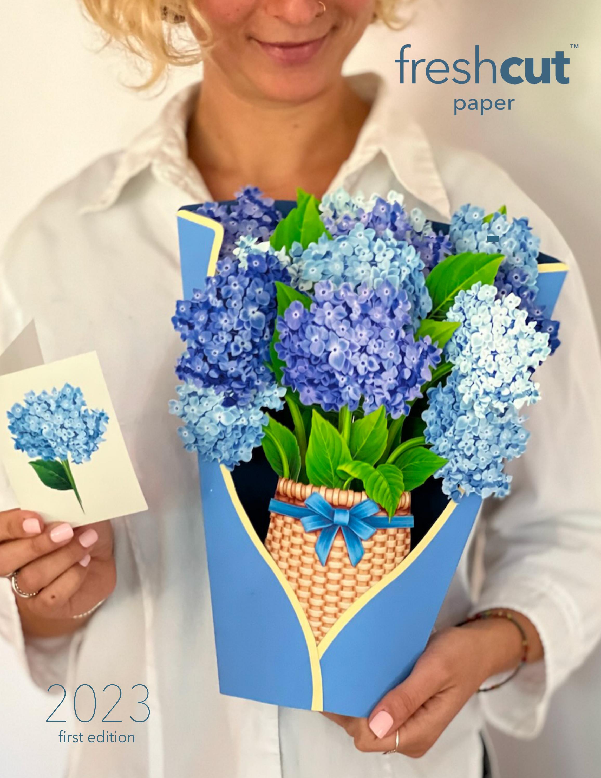 FreshCut Paper 2023 Catalog First Edition by FreshCut Paper - Issuu