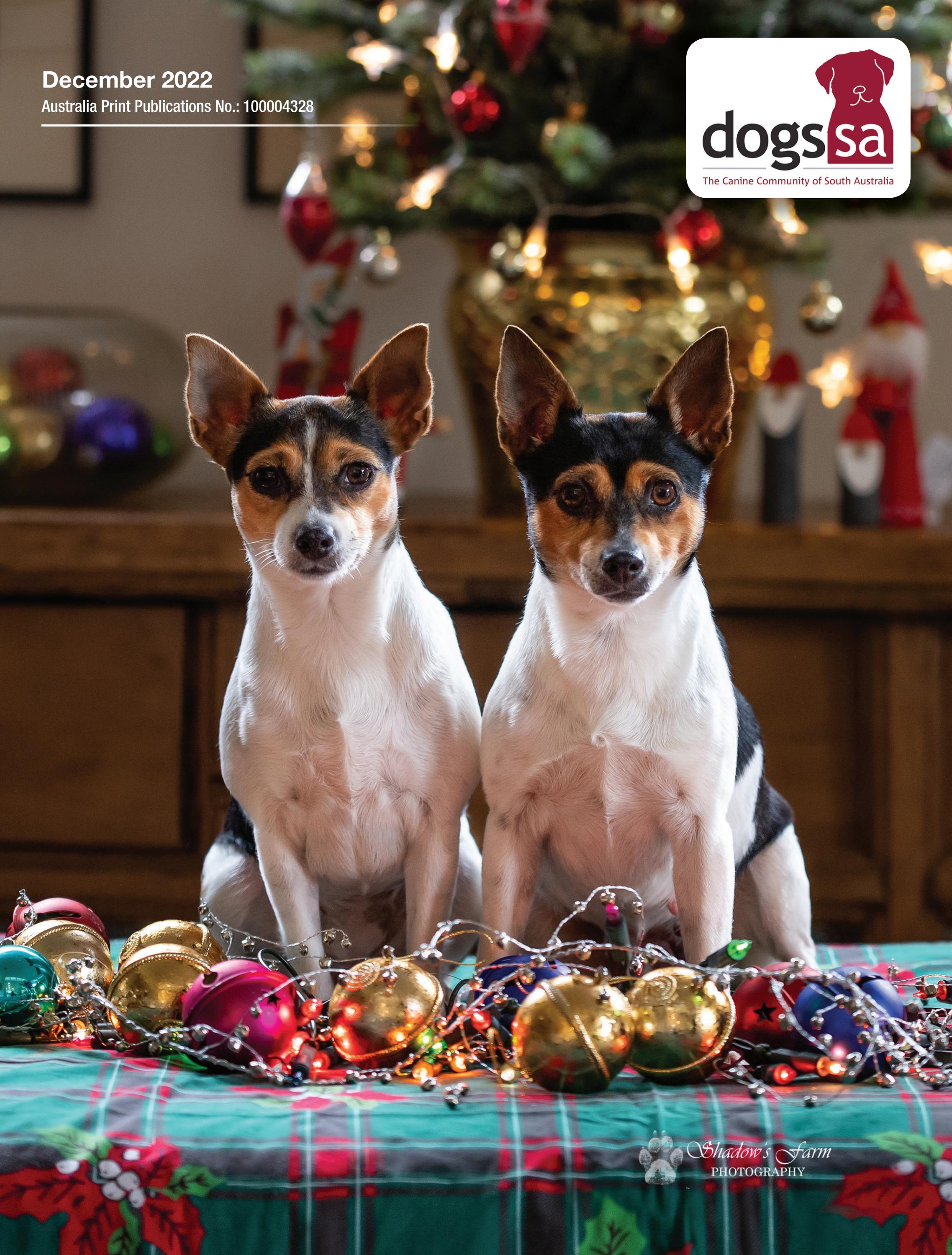 2022 Dogs SA December Magazine by Dogs SA - Issuu