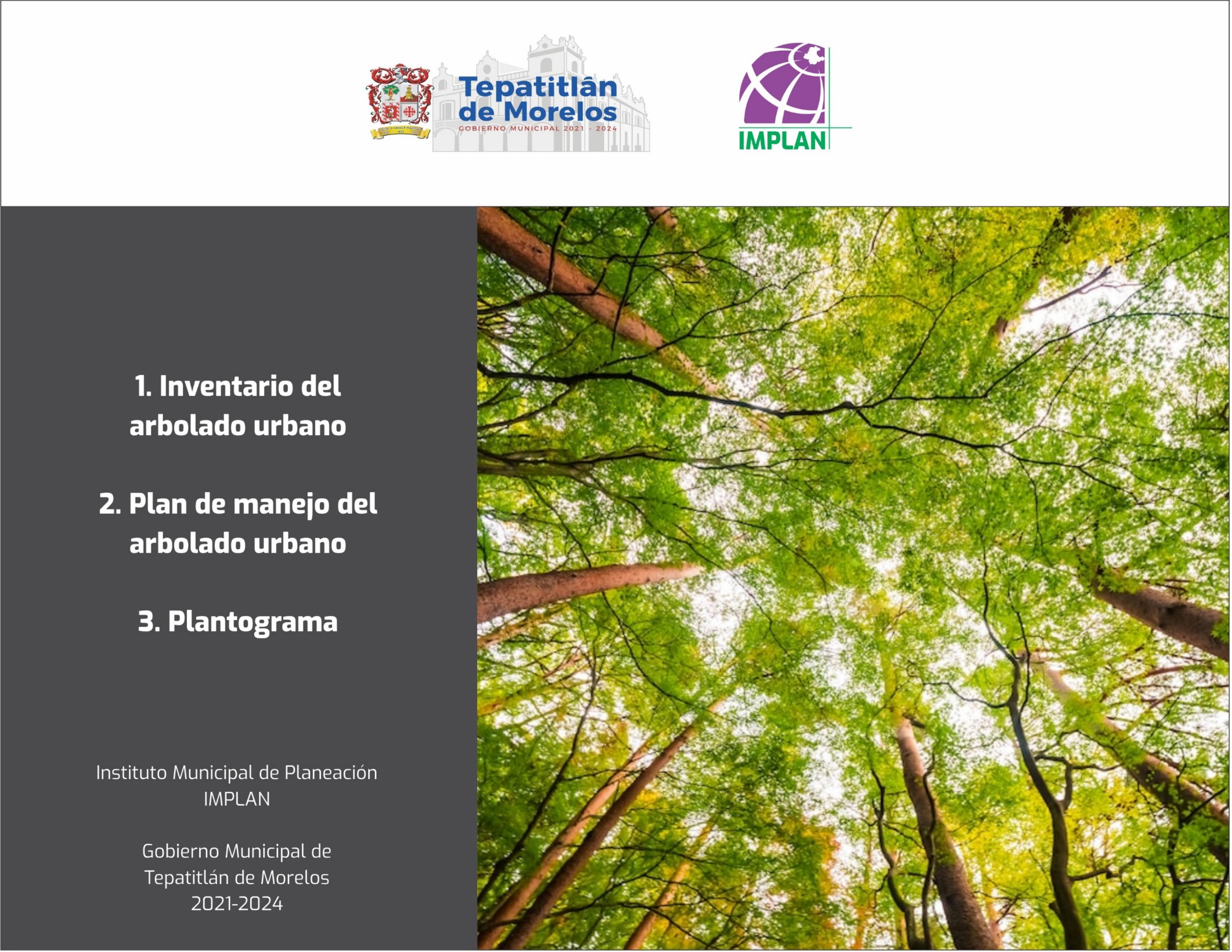 Inventario del arbolado urbano, Plan de Manejo y Plantograma Tepatitlán ...