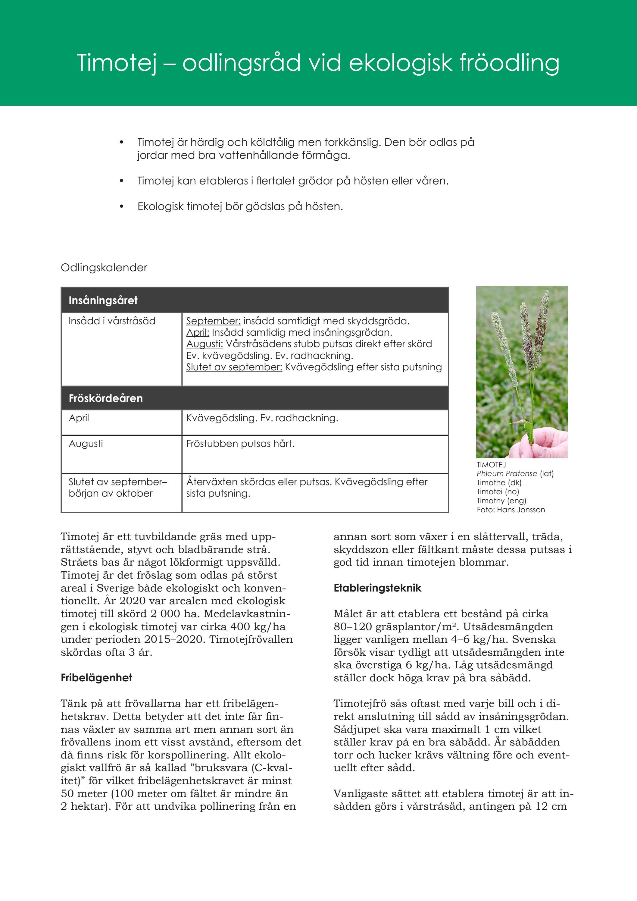 Timotej ekologisk odling by Svenska Foder AB - Issuu