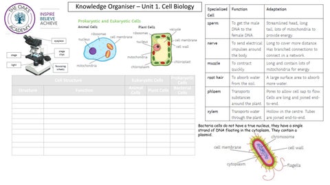 Knowledge Organiser Biology by Schudio - Issuu