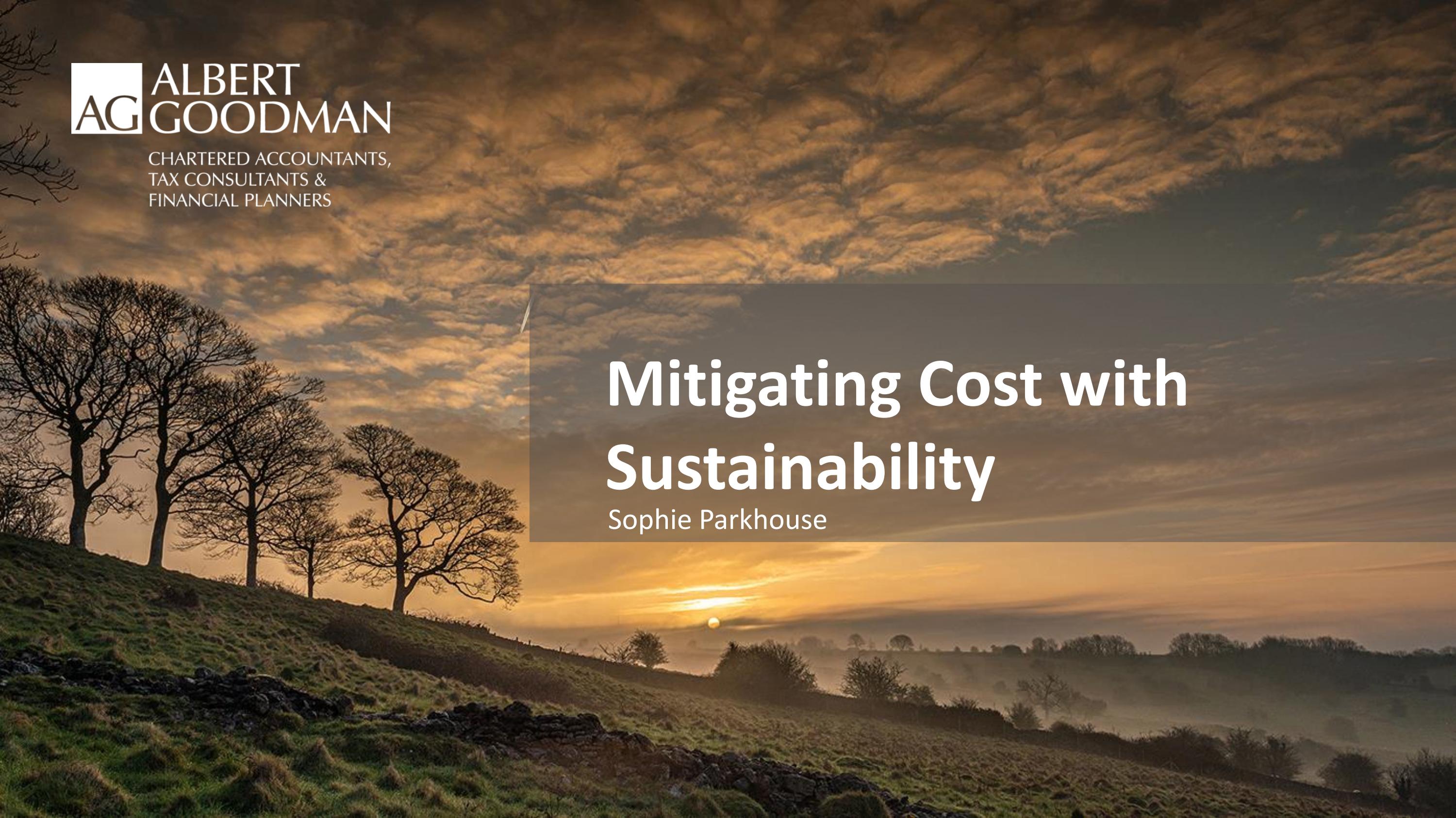 Mitigating Cost with Sustainability by Albertgoodman - Issuu