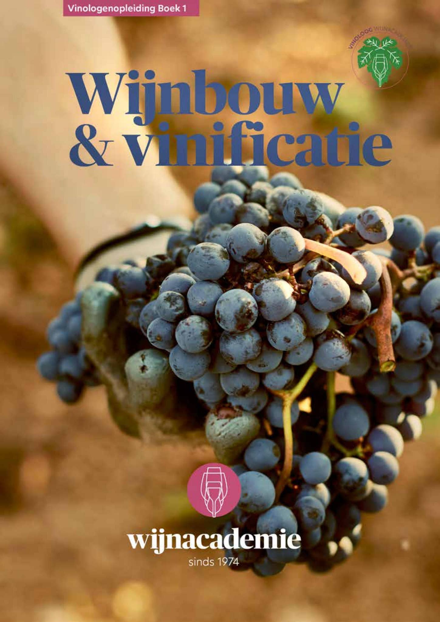 Vinologenboek Wijnbouw & Vinificatie by De Wijnacademie - Issuu