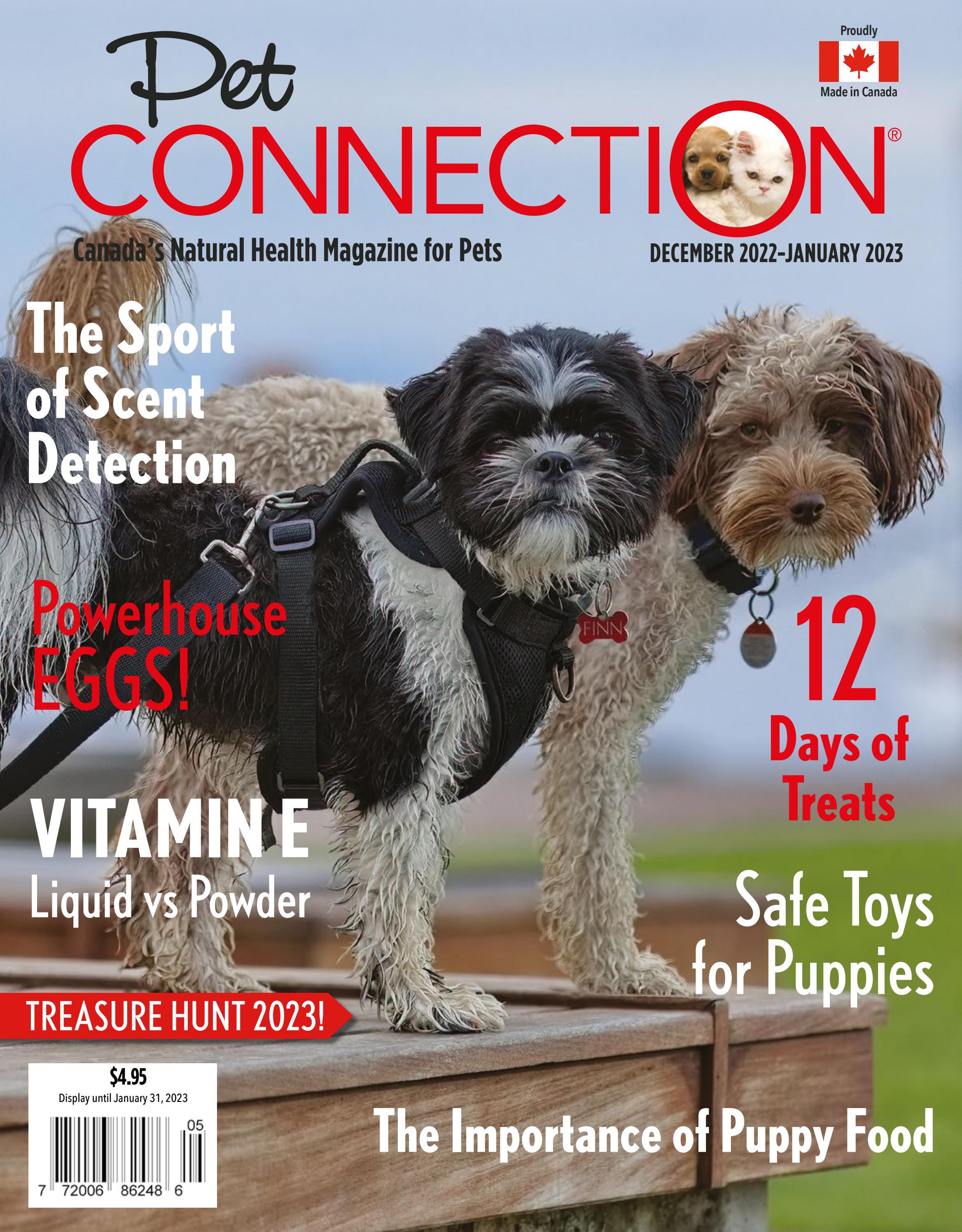 Pet Connection December / January Issue by Pet Connection - Issuu