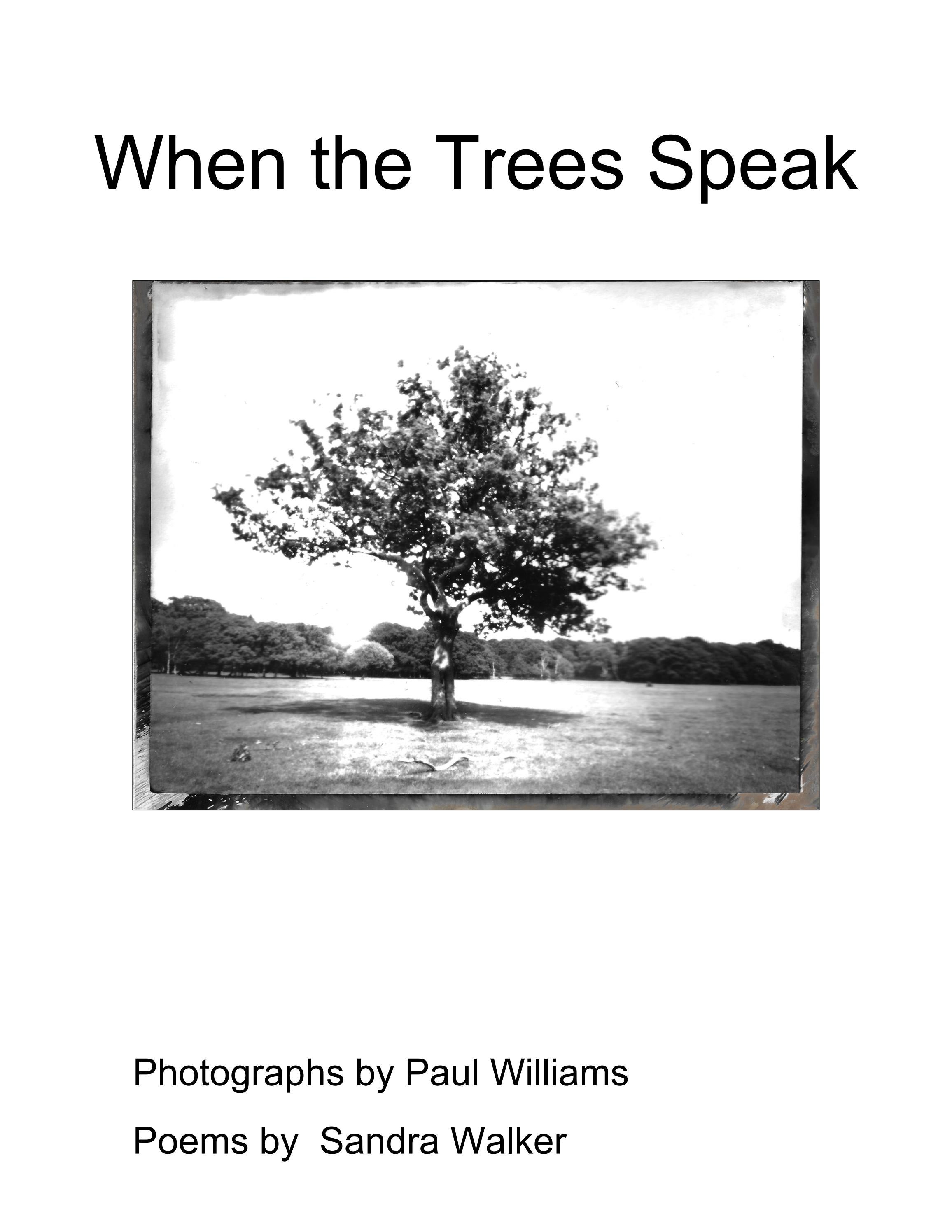 When the Trees Speak by paul williams - Issuu