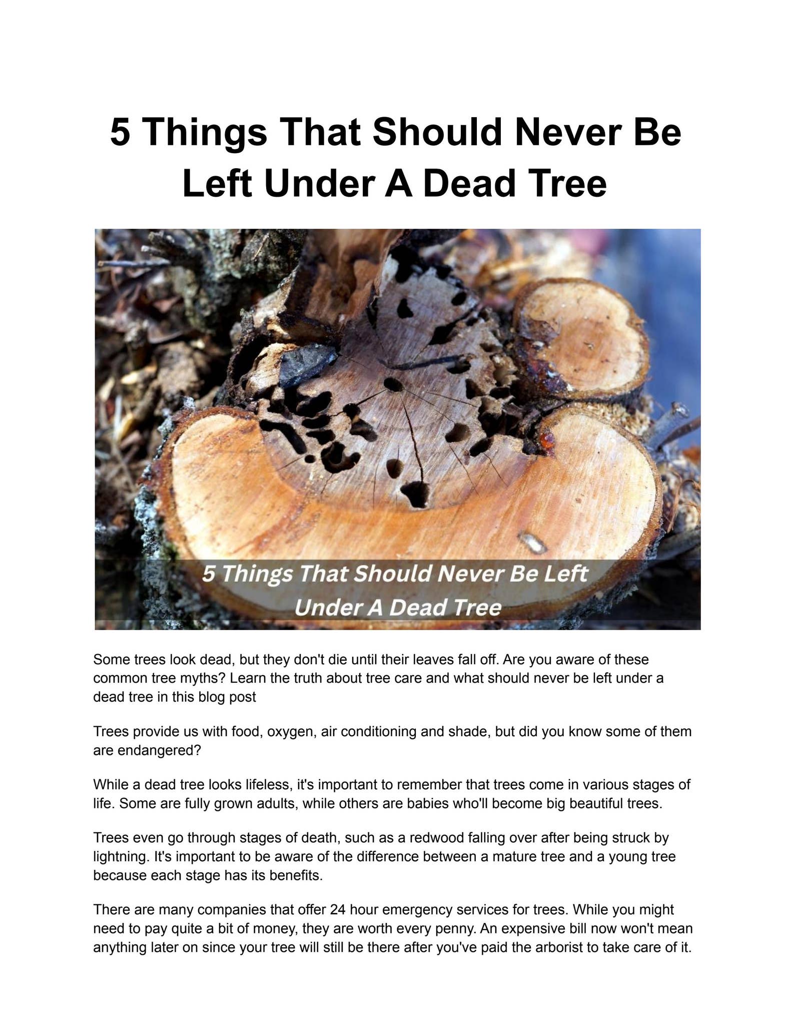 5 Things That Should Never Be Left Under A Dead Tree by Lorean Vany - Issuu