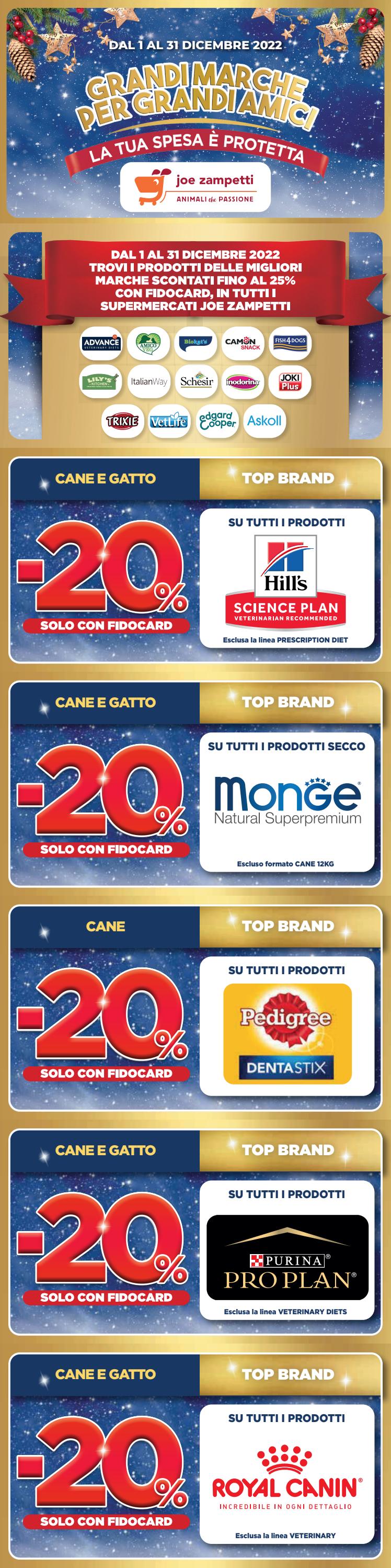 Grandi Marche_dic_22 by Joe Zampetti - Issuu