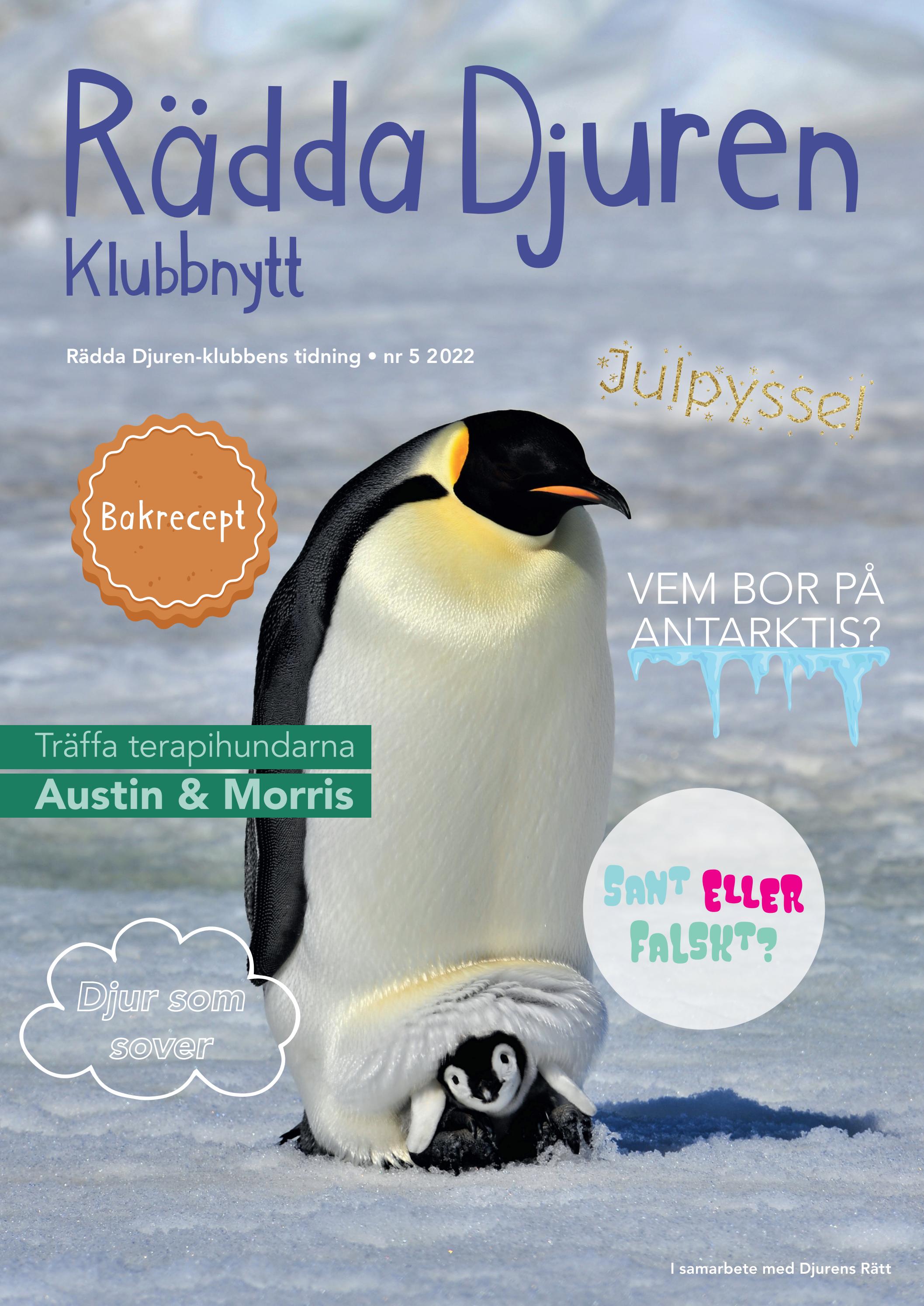 Klubbnytt #5 2022 (Rädda Djuren-klubben) by Djurens Rätt - Issuu