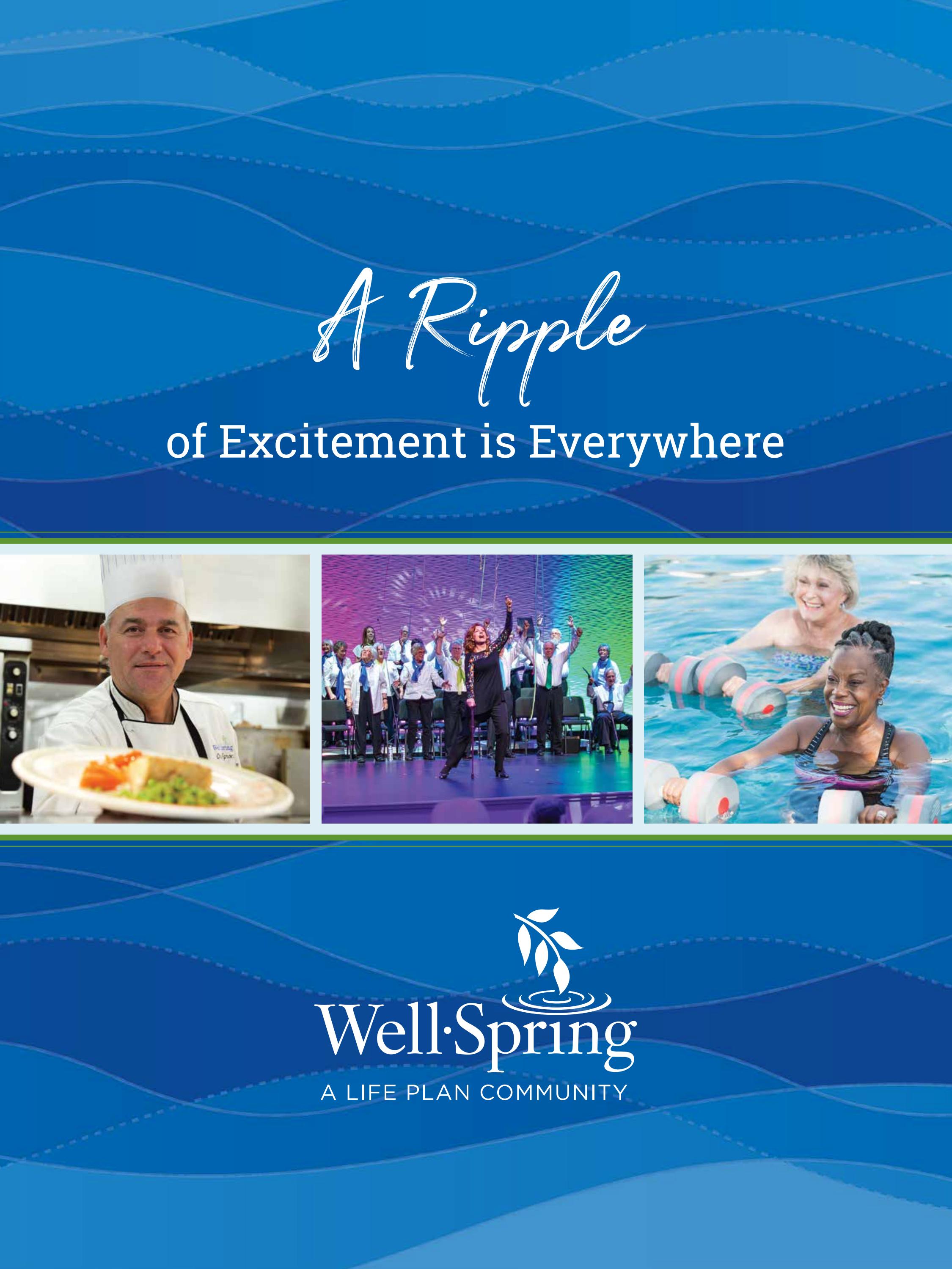 Well•Spring Community Overview Brochure by well-spring - Issuu