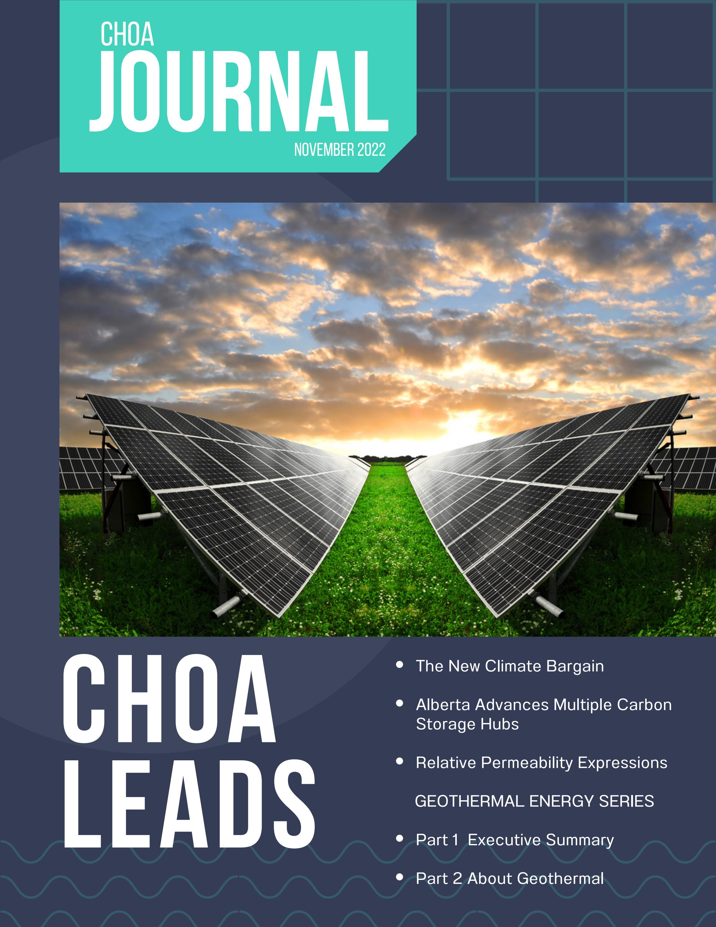 CHOA LEADS - CHOA Journal November 2022 by CHOA - Issuu