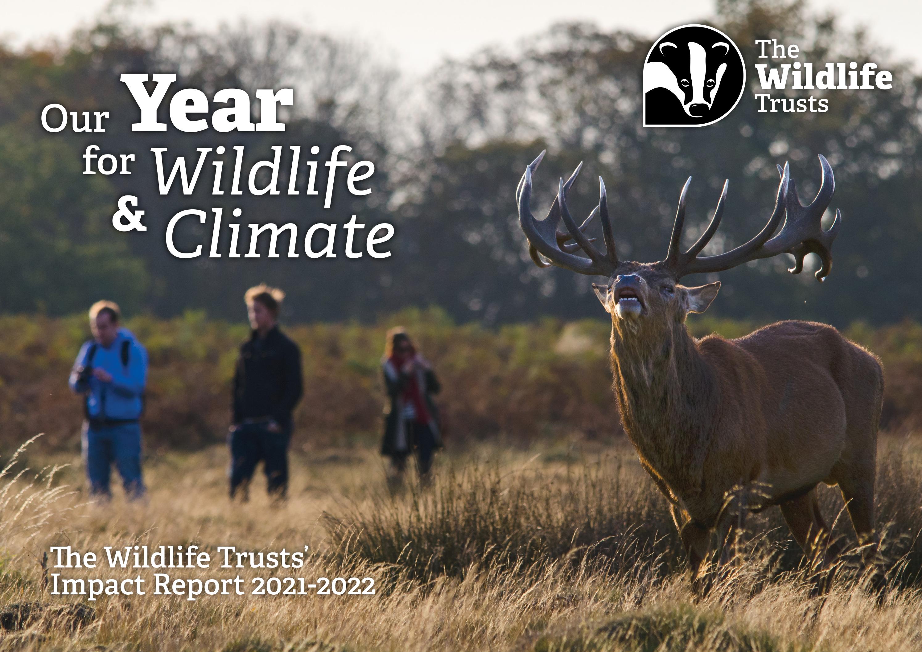 Our Year for Wildlife and Climate by The Wildlife Trusts - Issuu