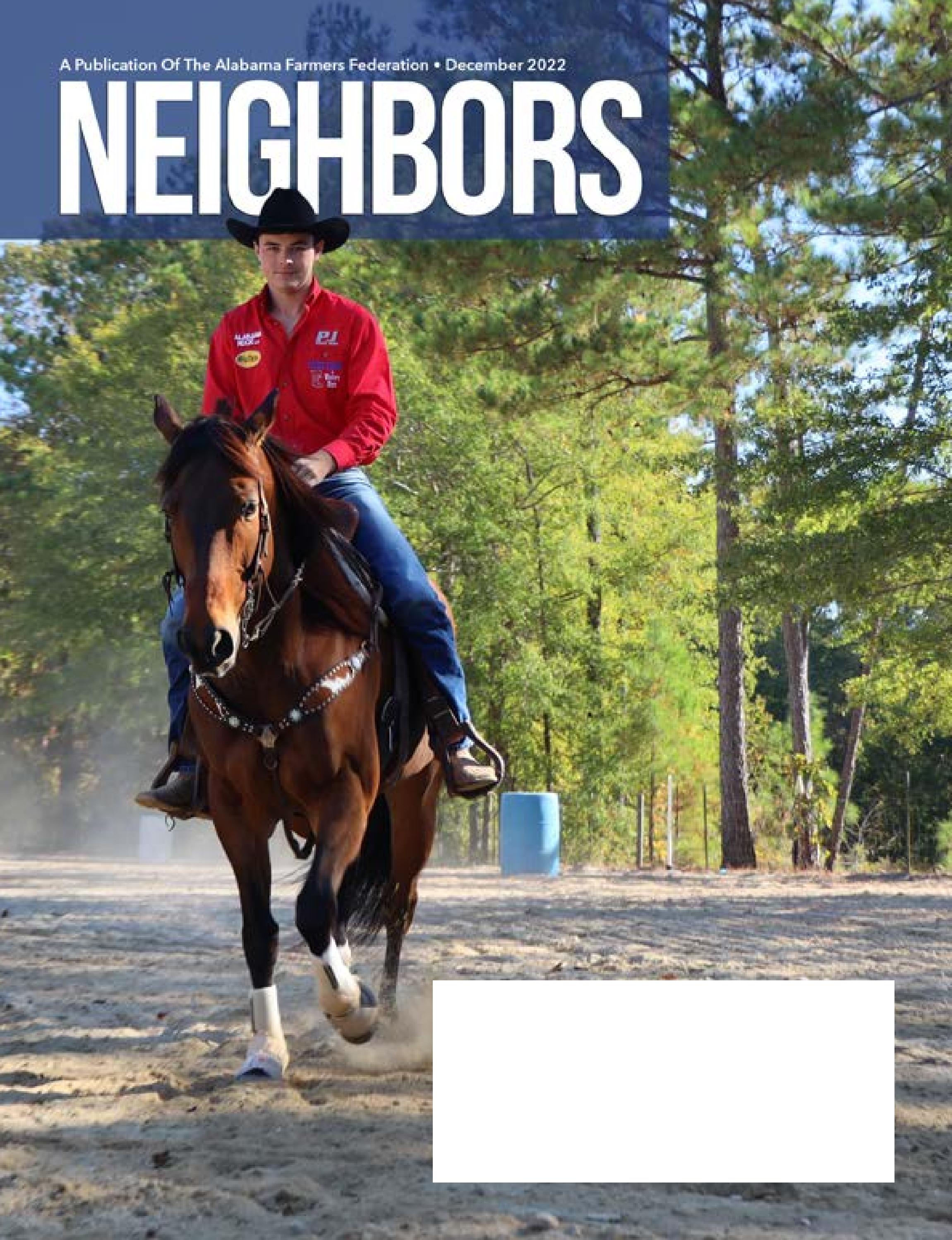 Kenneth Pinyan Horse