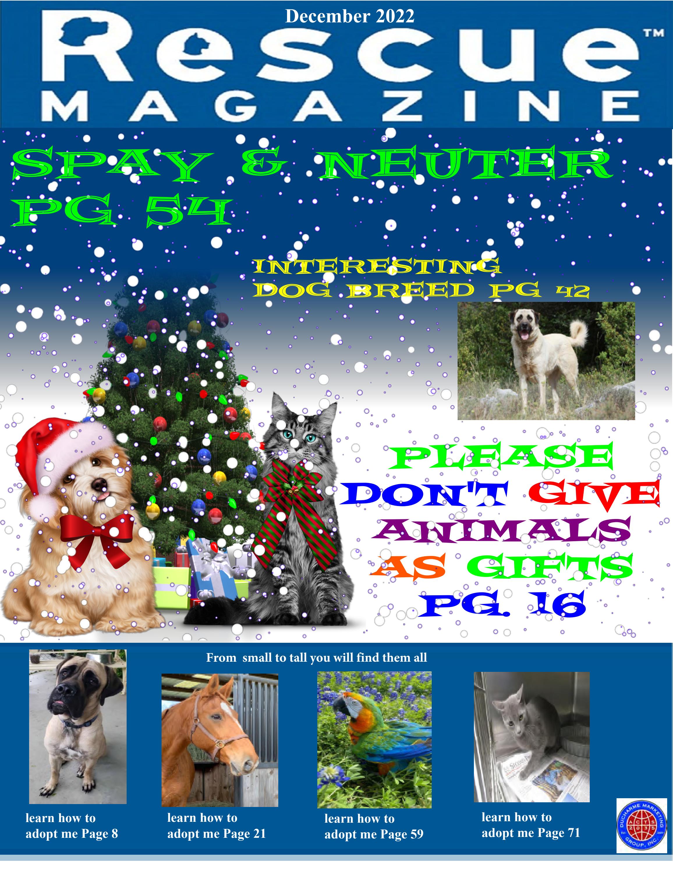 Rescue Magazine December 2022 Edition by Ron - Issuu