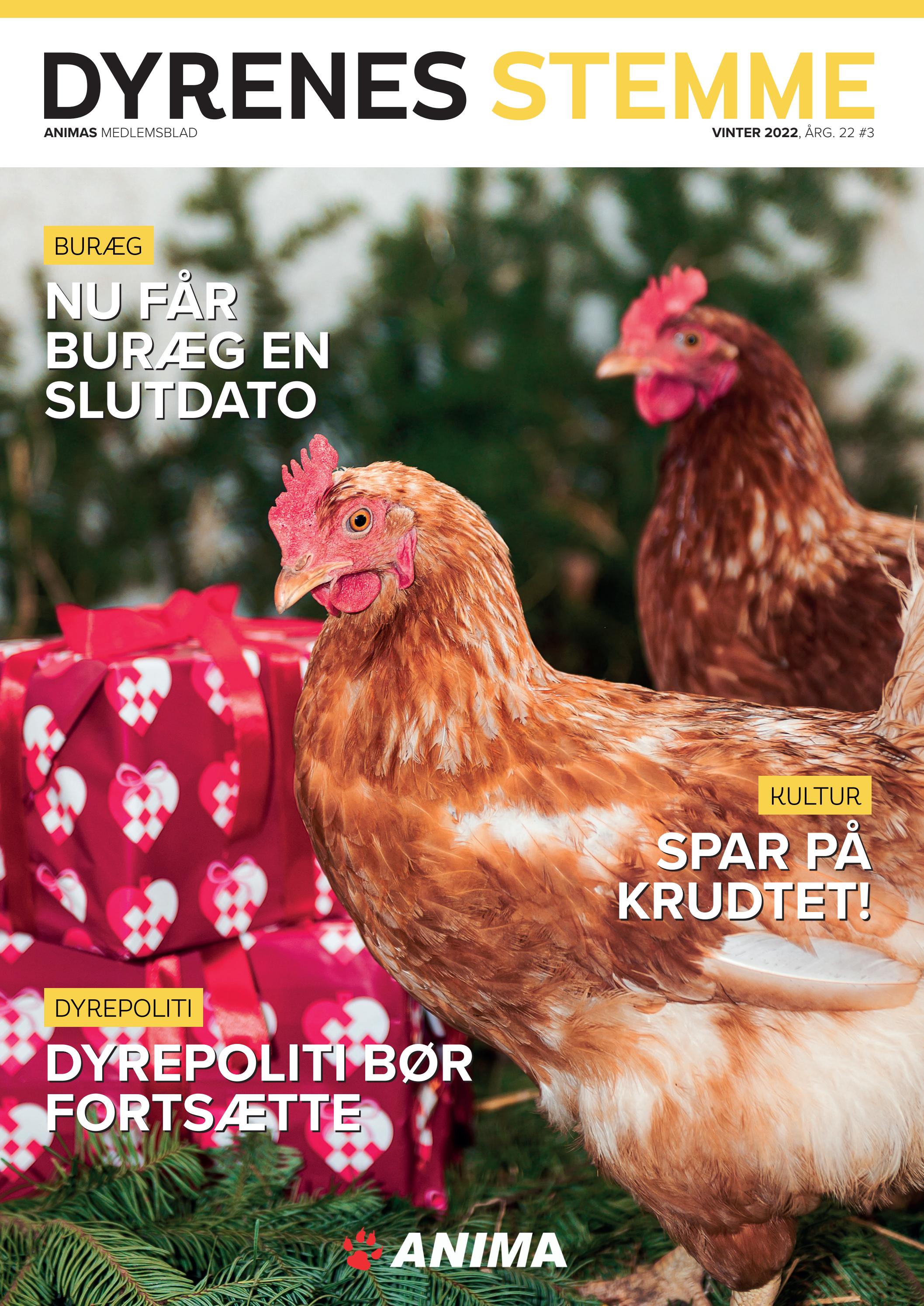 Dyrenes stemme 22.3 by Anima - Issuu