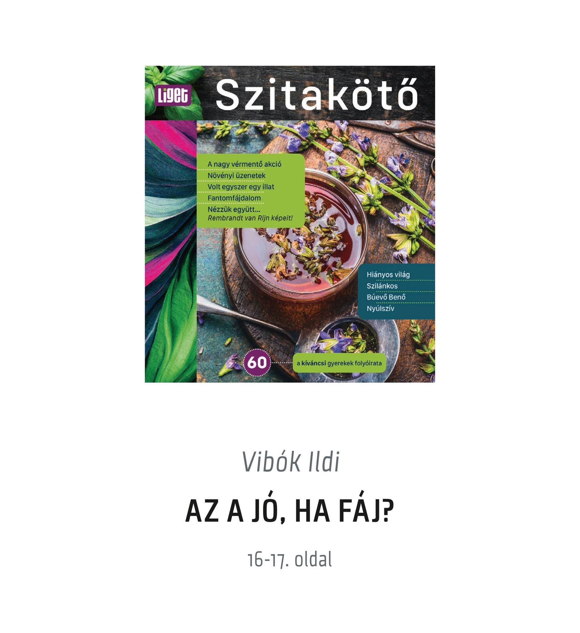 Vibók Ildi | AZ A JÓ, HA FÁJ? by LIGET Műhely Alapítvány - Issuu