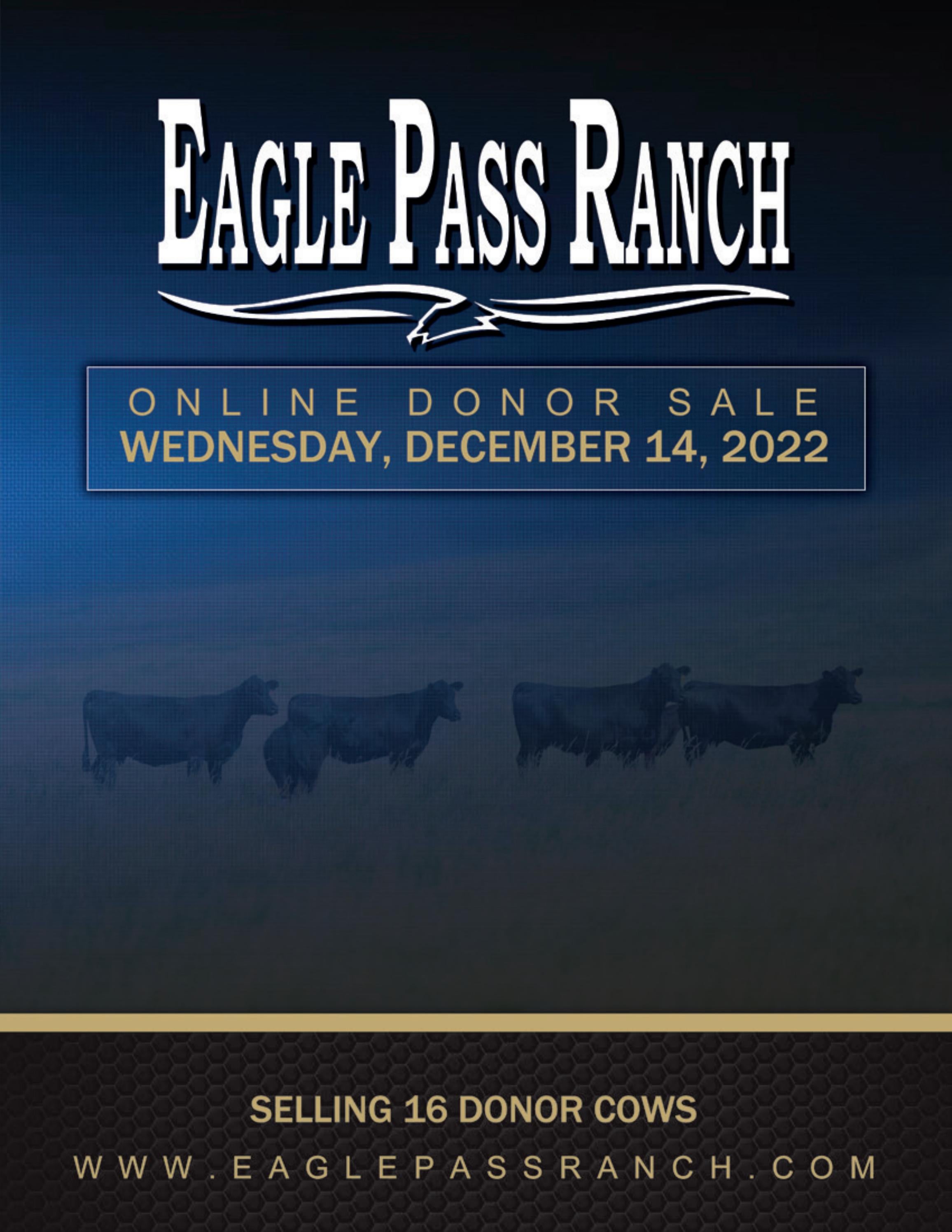 2022 Eagle Pass Ranch Online Donor Sale by Eagle Pass Ranch - Issuu