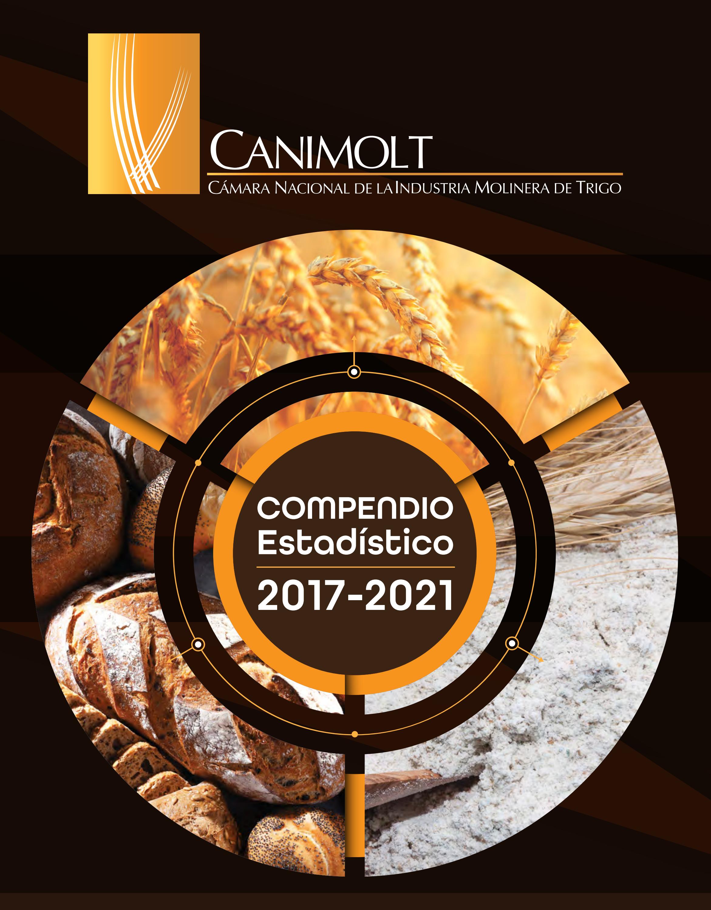Compendio estadístico 2017-2021 Capitulo 8 by CANIMOLT - Issuu