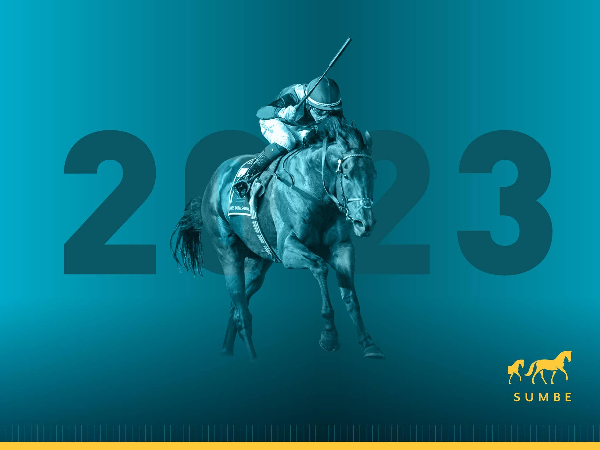SUMBE 2023 by SUMBE - Issuu