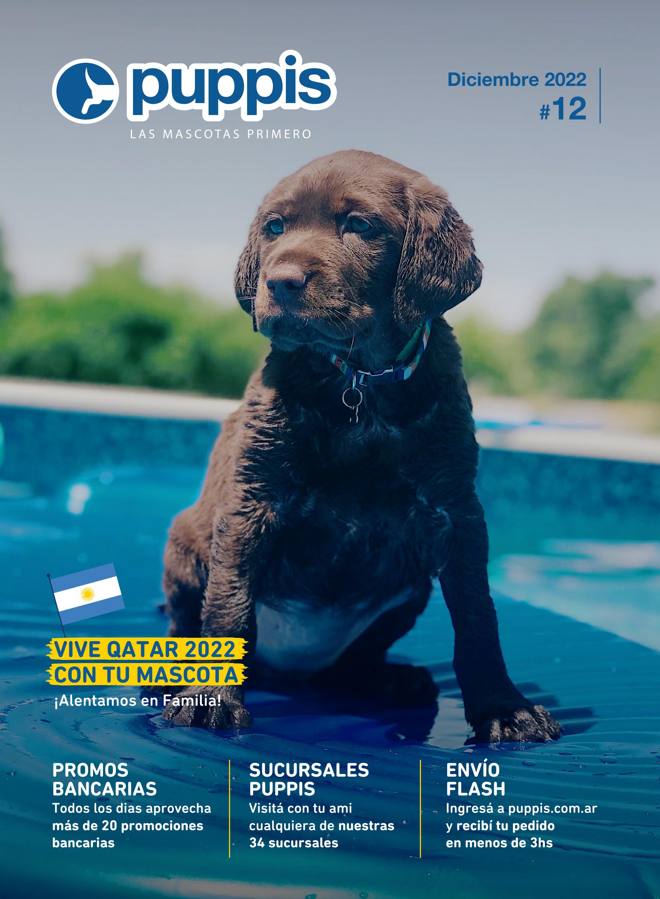 Revista Puppis Argentina diciembre 2022 by Puppis Argentina - Issuu