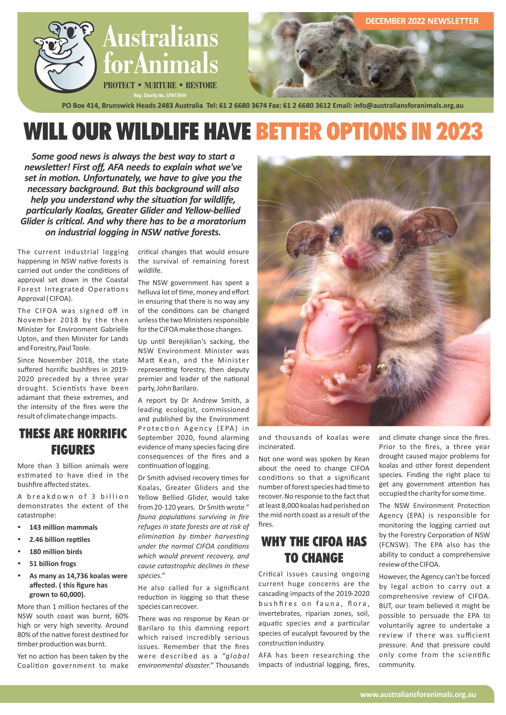 Australians for Animals (Koala Crisis) December 2022 Newsletter by ...