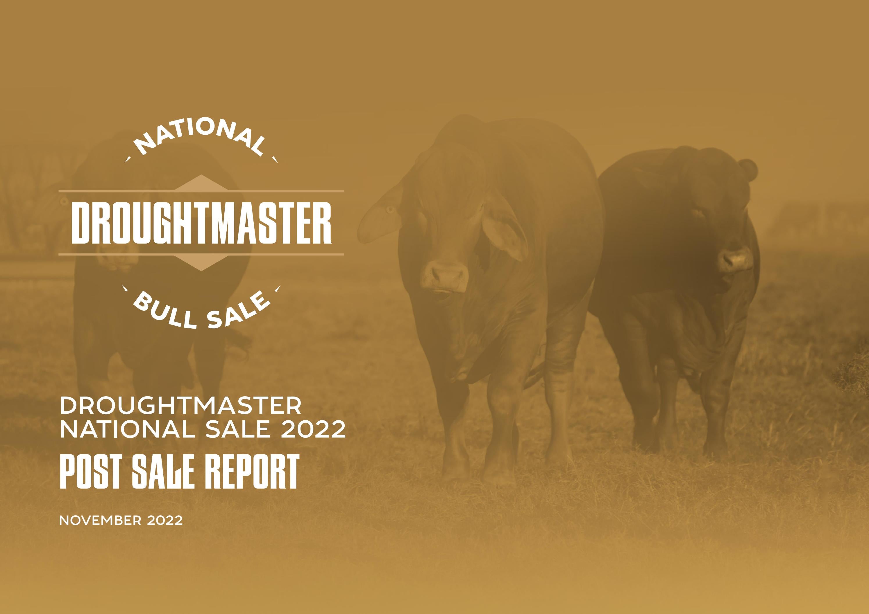Droughtmaster National Bull Post Sale Report 2022 by Droughtmaster ...