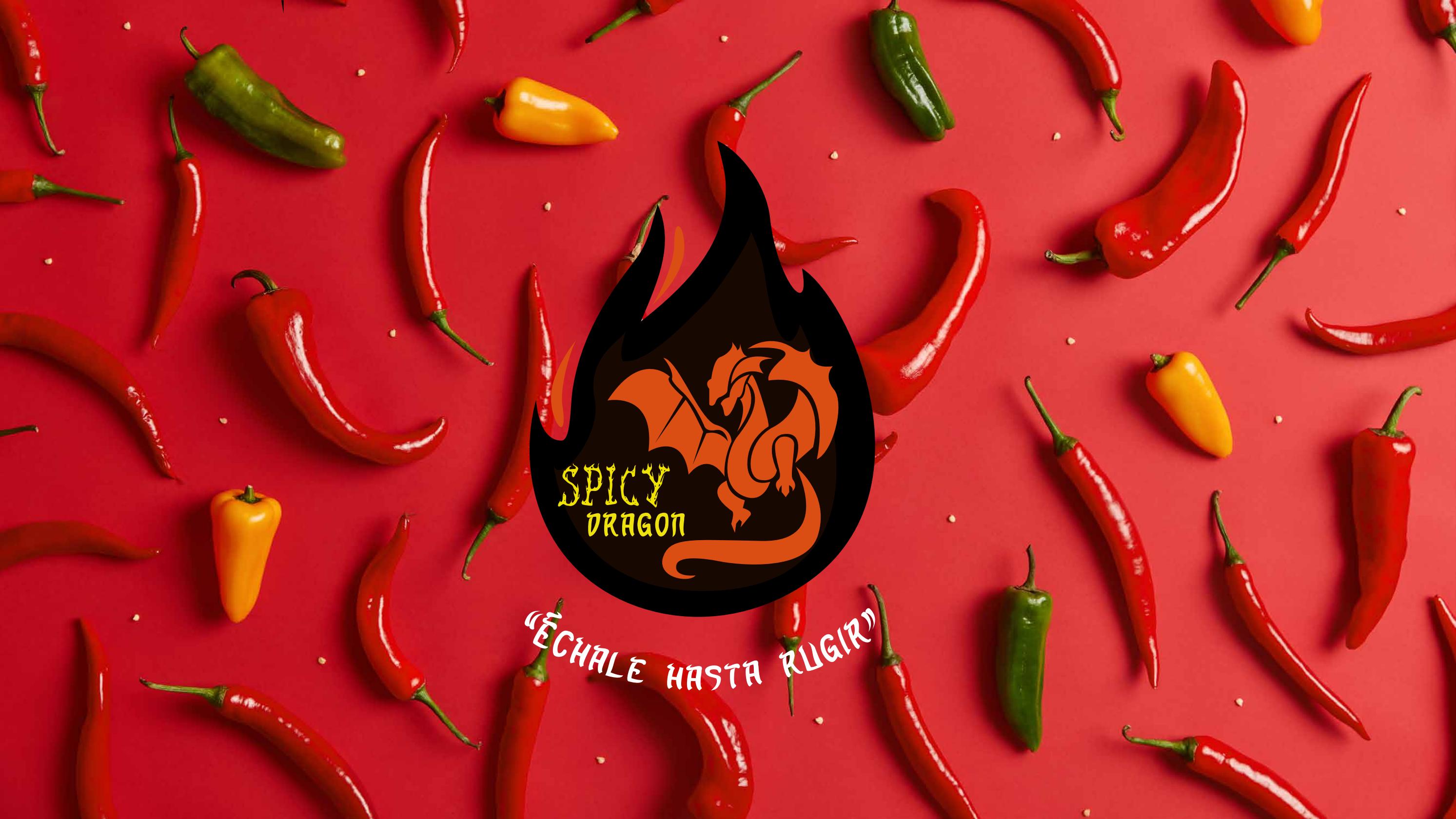 Manual corporativo Spicy Dragon 2.0 by Constanza Jara Rivera - Issuu