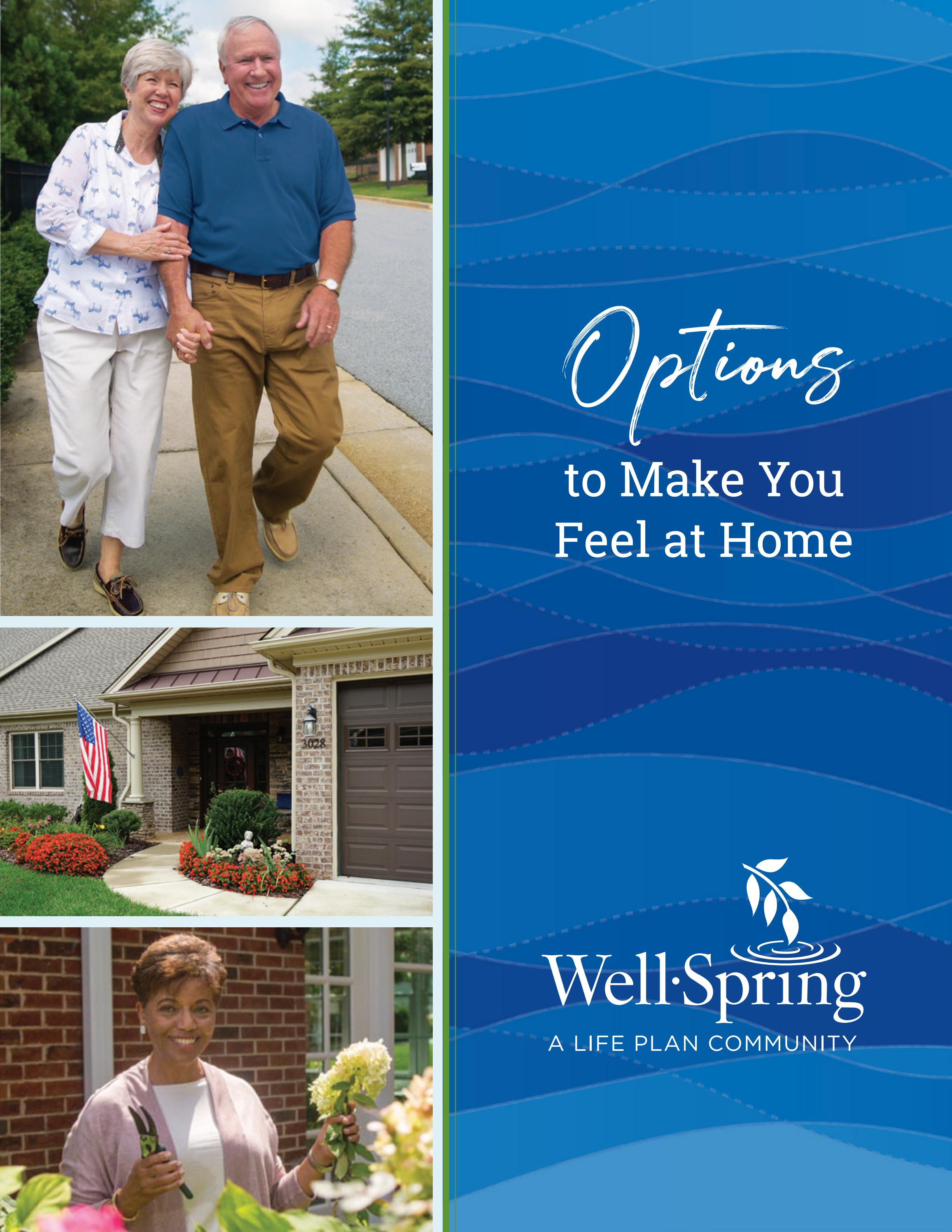 Well•Spring Community Options Brochure by well-spring - Issuu