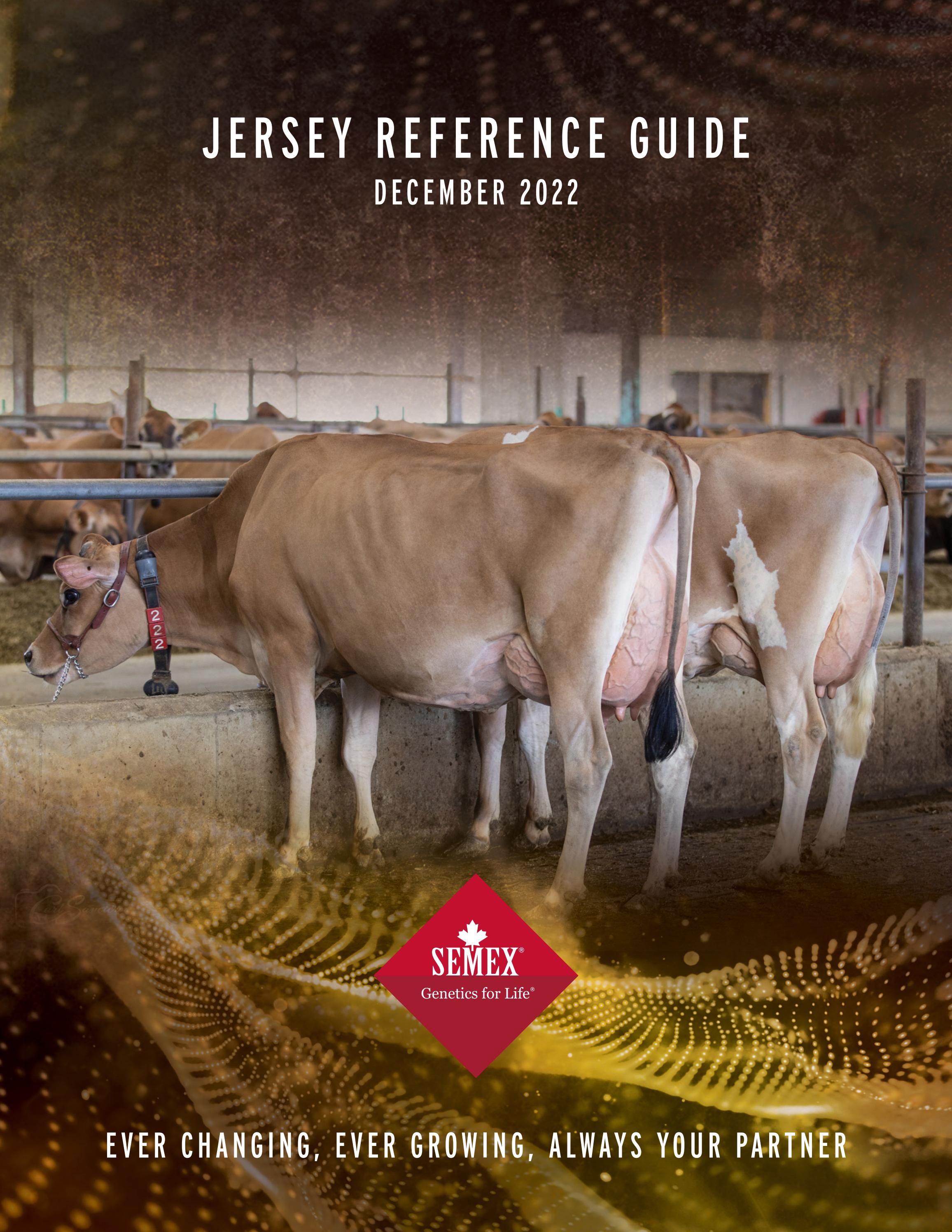 Semex - December 2022 USA Jersey Reference Guide by Semex - Issuu