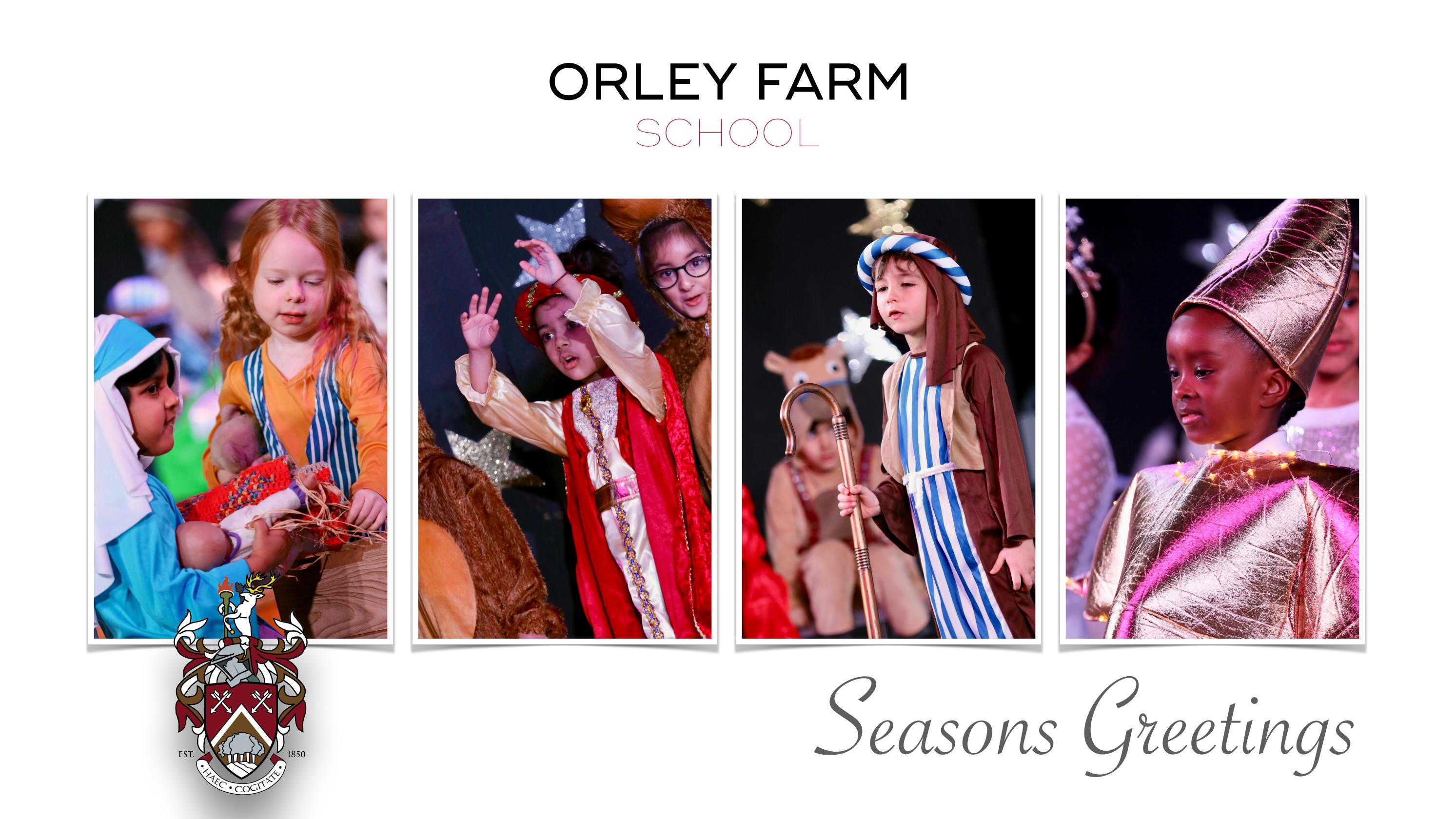 Happy Christmas from Orley Farm by OrleyFarm - Issuu