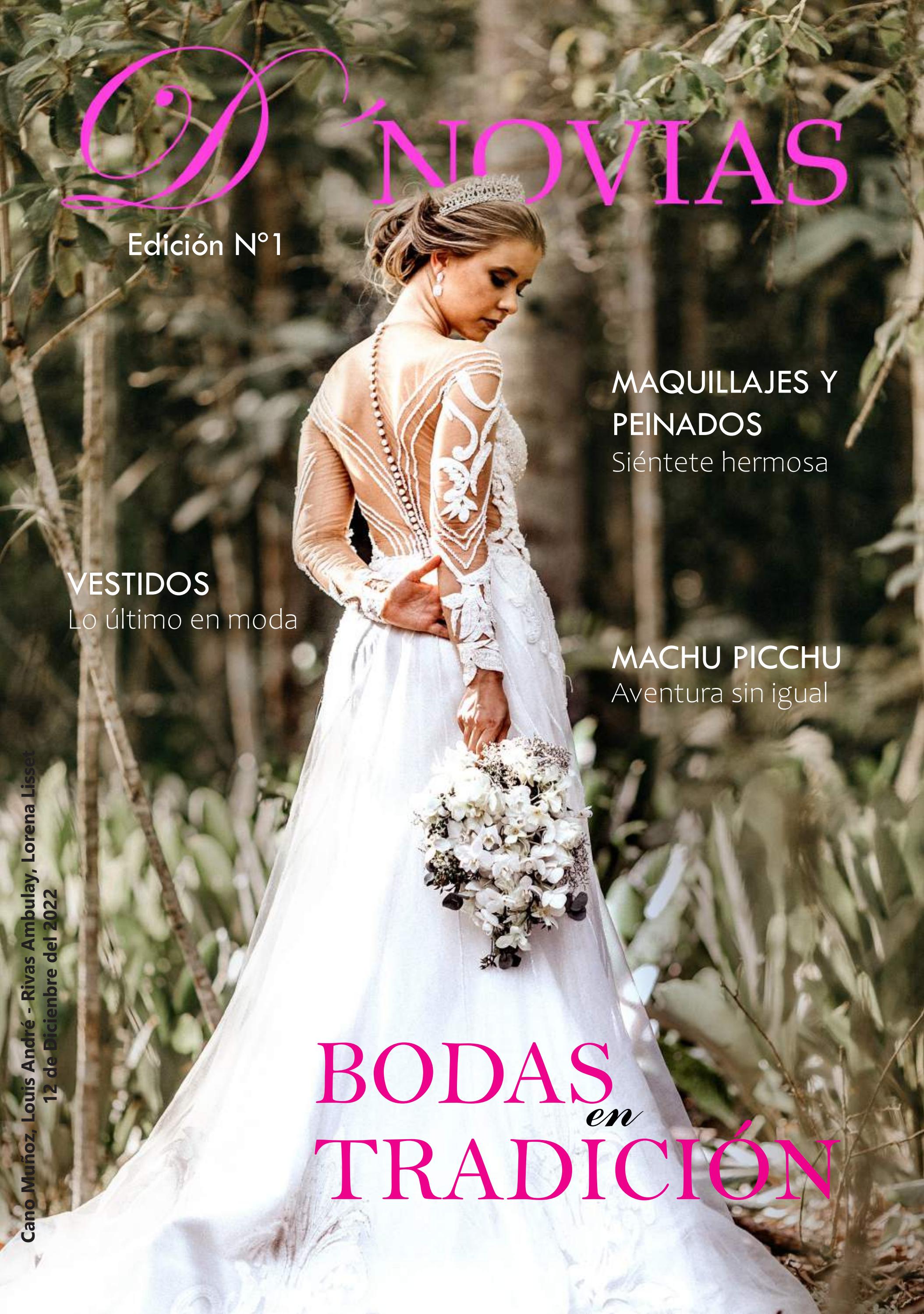 Revistas D´NOVIAS by louis cano - Issuu