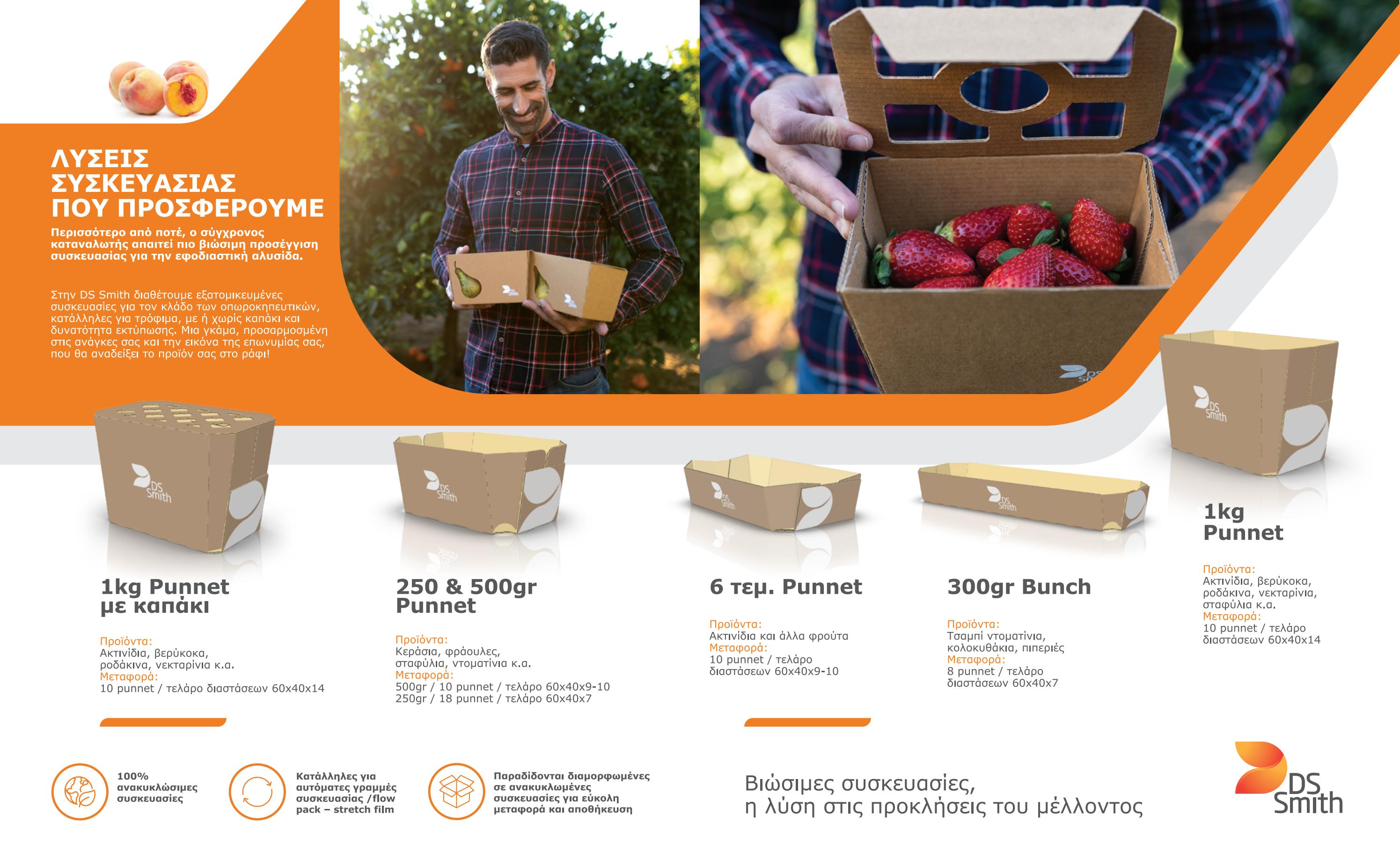 Punnet Solutions by DS Smith - Issuu