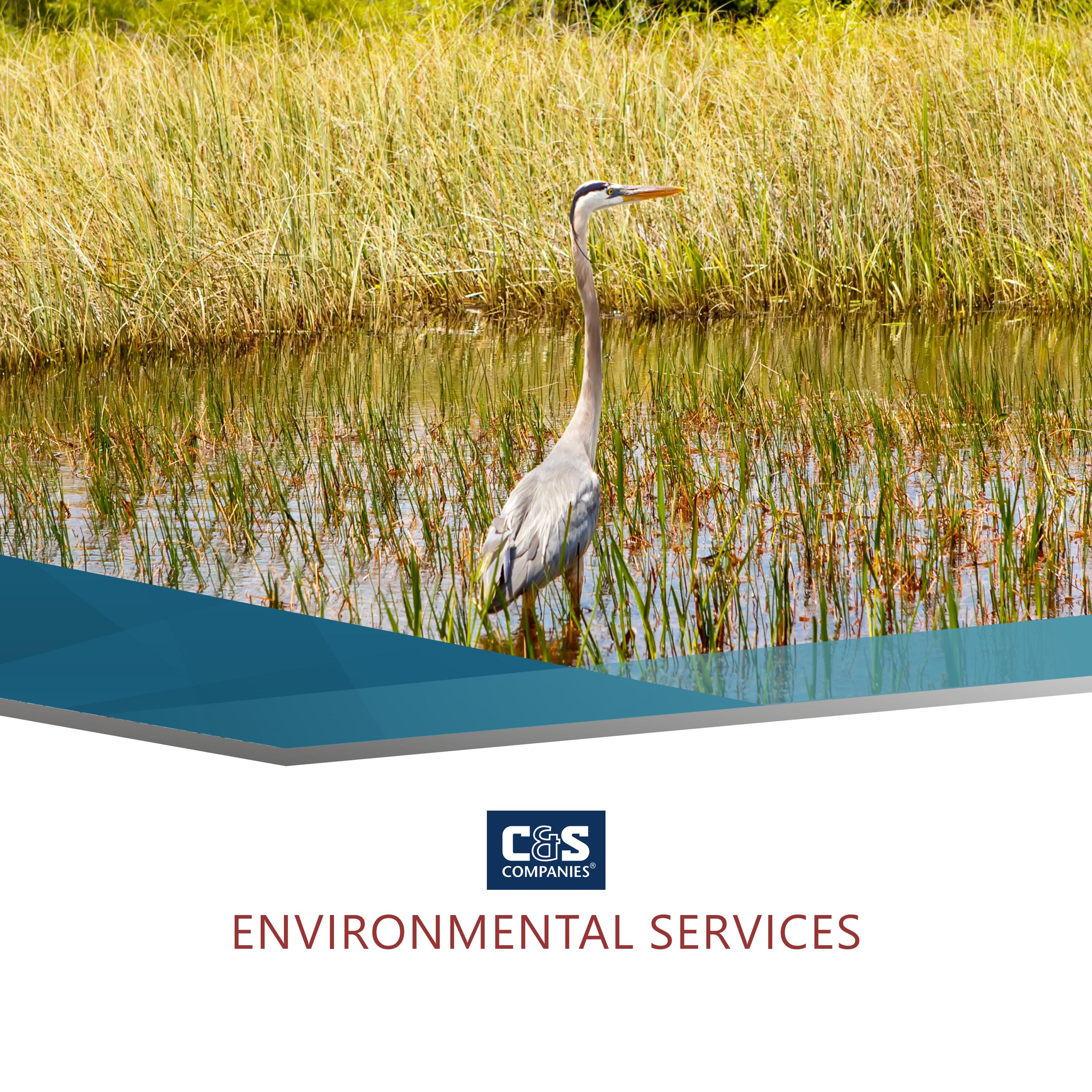 Environmental Services Brochure by cscompanies - Issuu