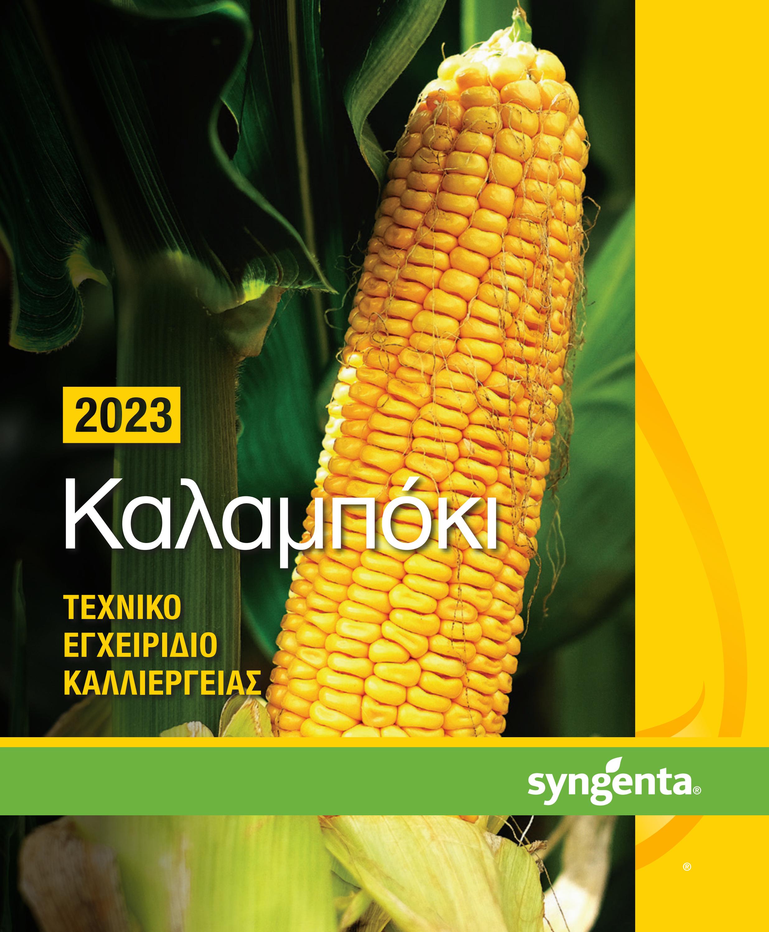 Καλαμπόκι 2023 by Syngenta Hellas - Issuu