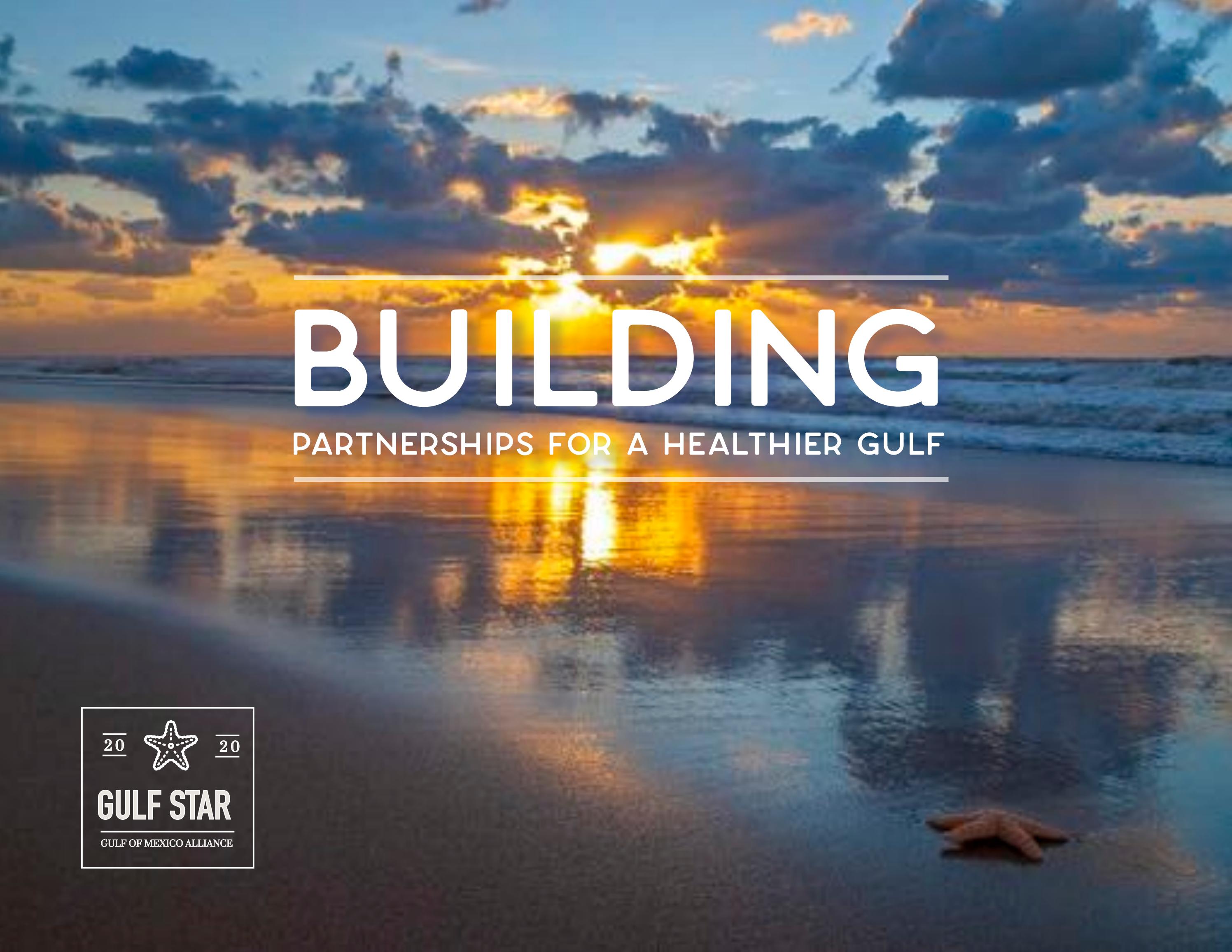 2020 Gulf Star Report by Gulf of Mexico Alliance - Issuu