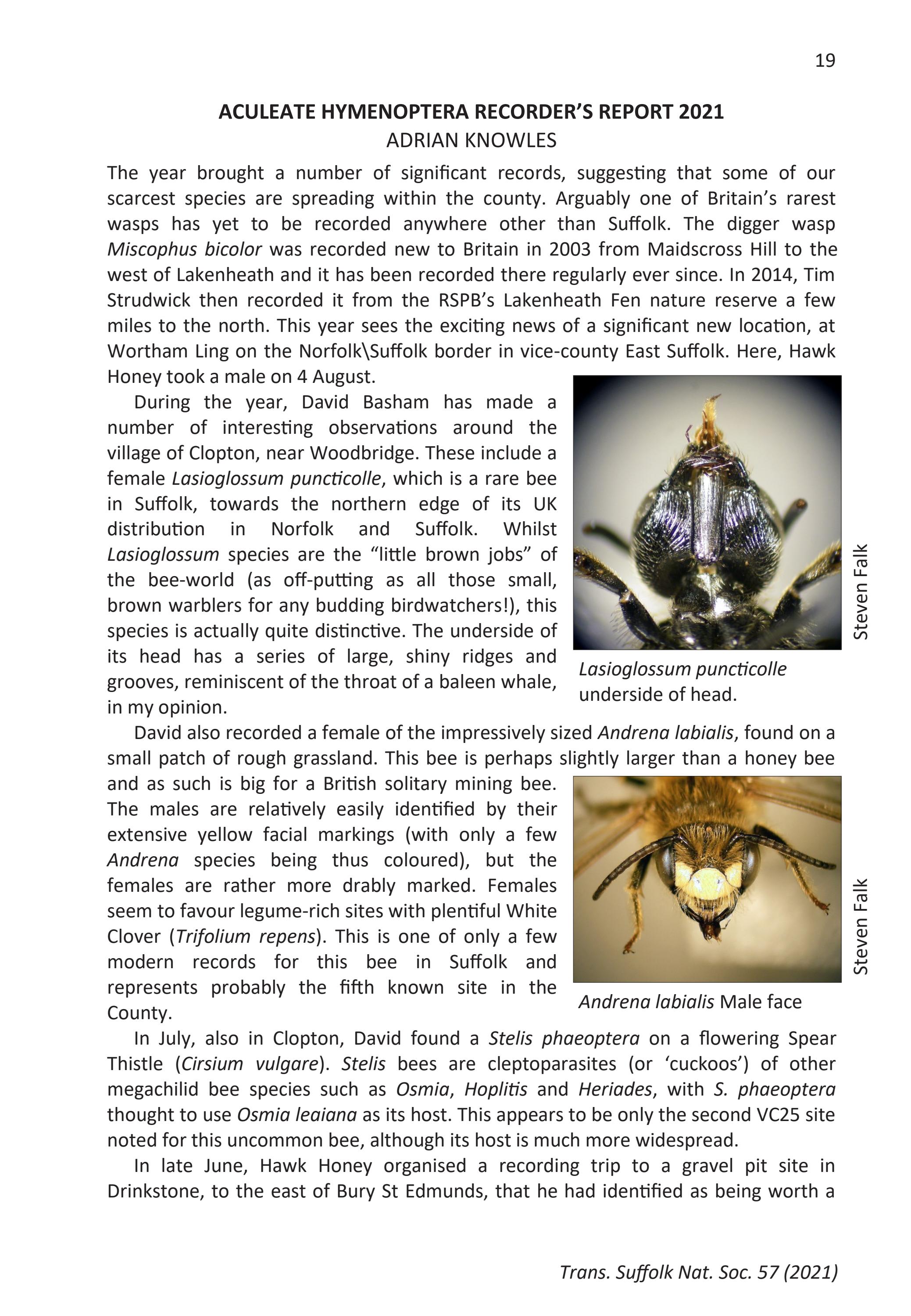 Aculeate Hymenoptera Recorder’s Report 2021 – Adrian Knowles by Suffolk ...