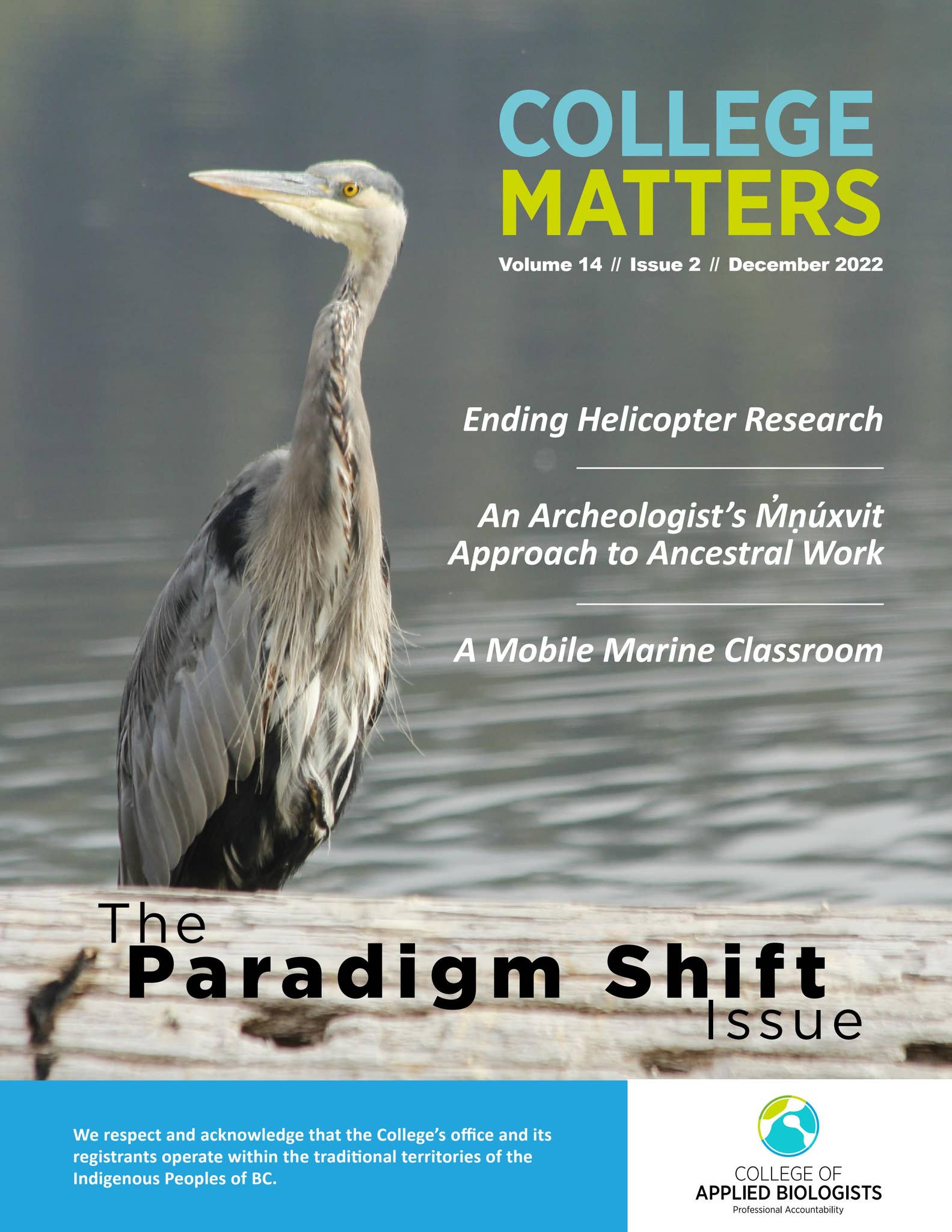 College Matters - Volume 14 - Issue 2 - December 2022 by College of ...