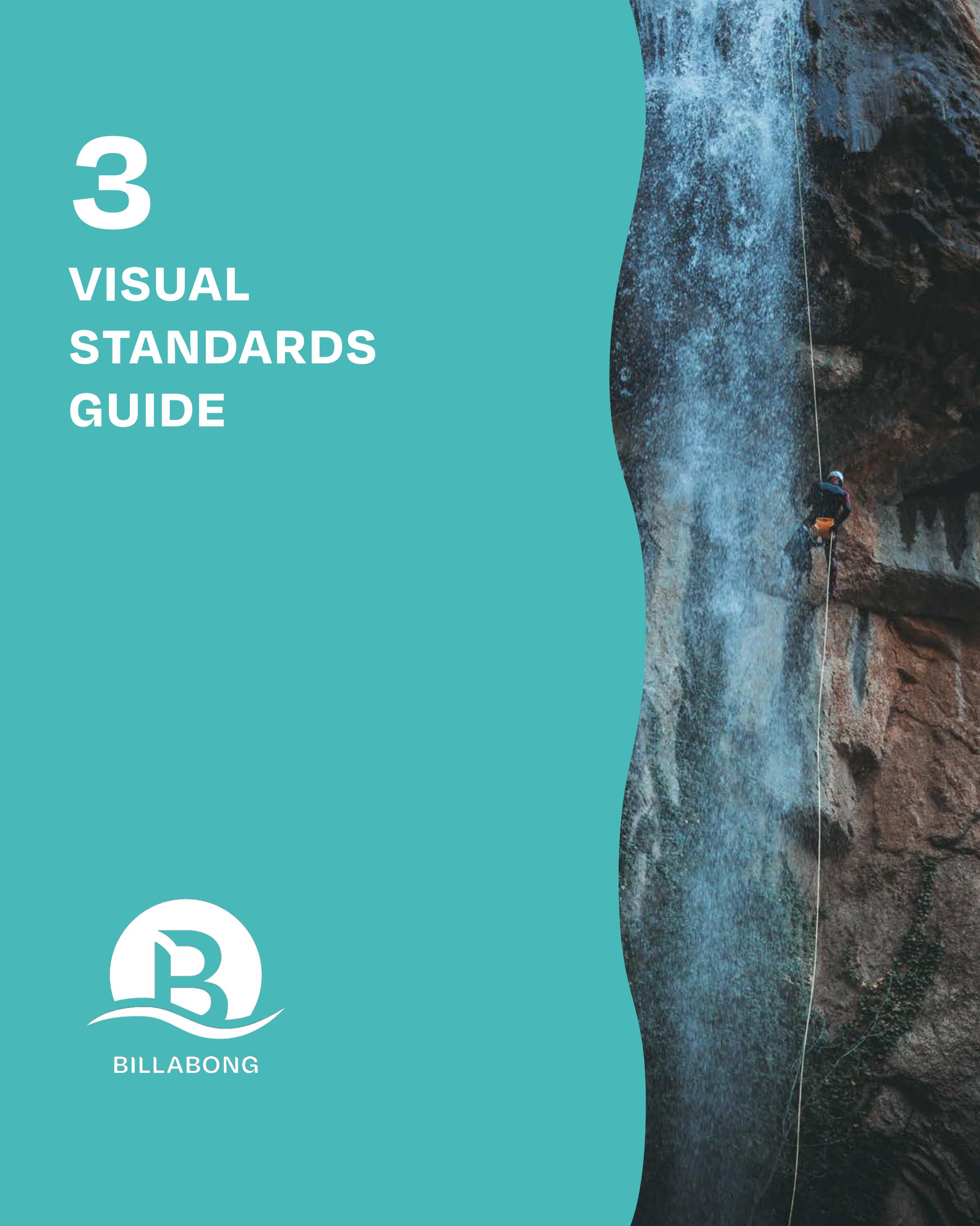 GR604 Student Project (BILLABONG THE VISUAL STANDARDS GUIDE ...