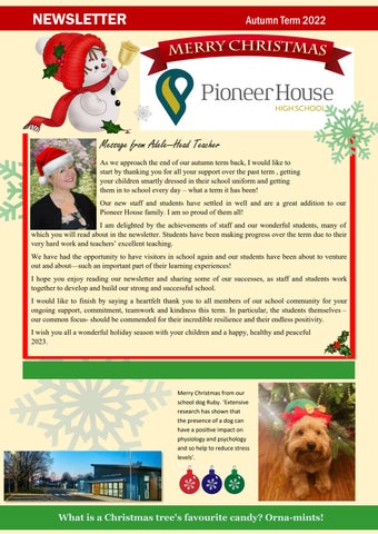 Christmas Newsletter 2022 by Schudio - Issuu