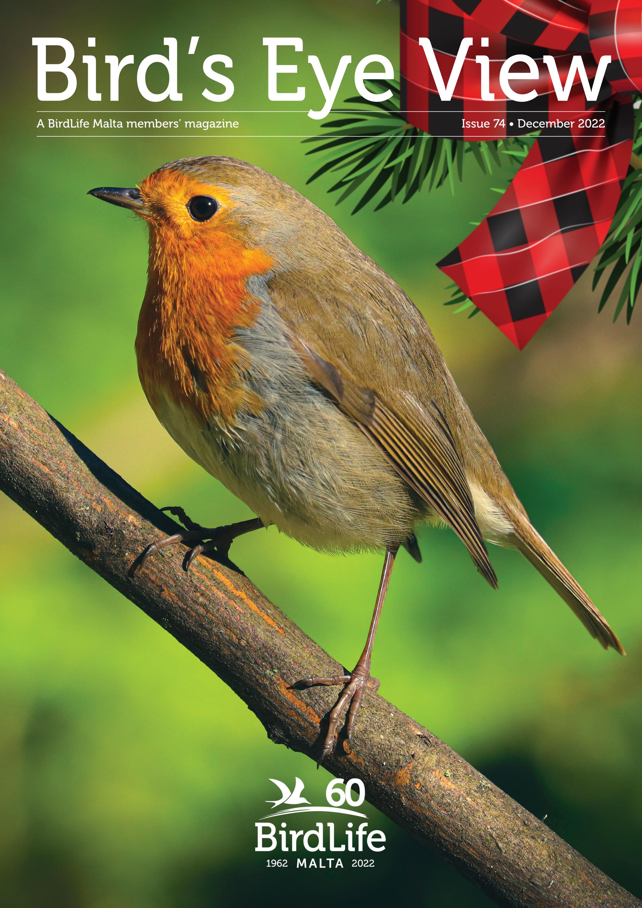 Bird's Eye View Issue 74 December 2022 by BirdLife Malta - Issuu