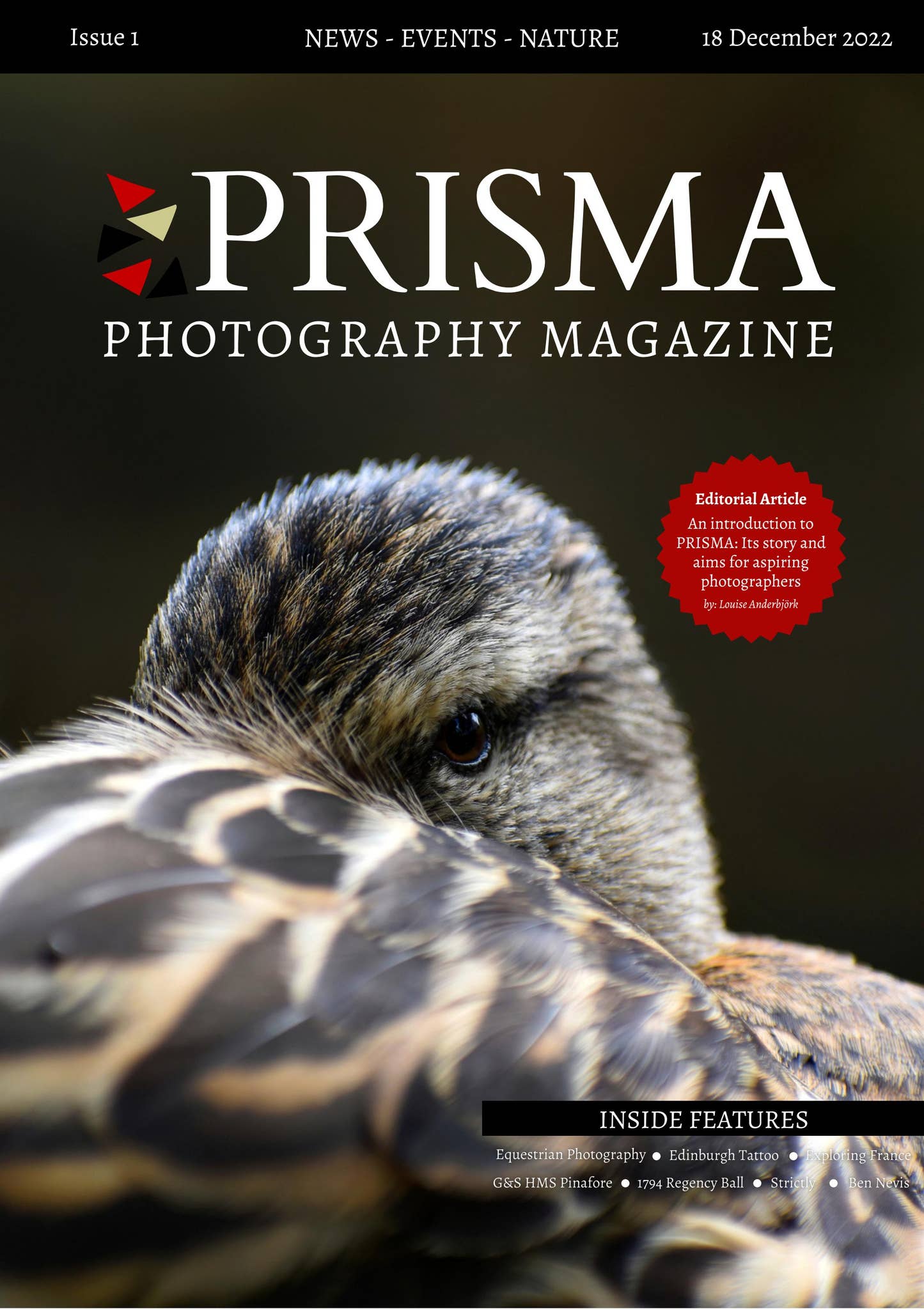 PRISMA Issue 1 by PRISMA Photography Magazine - Issuu