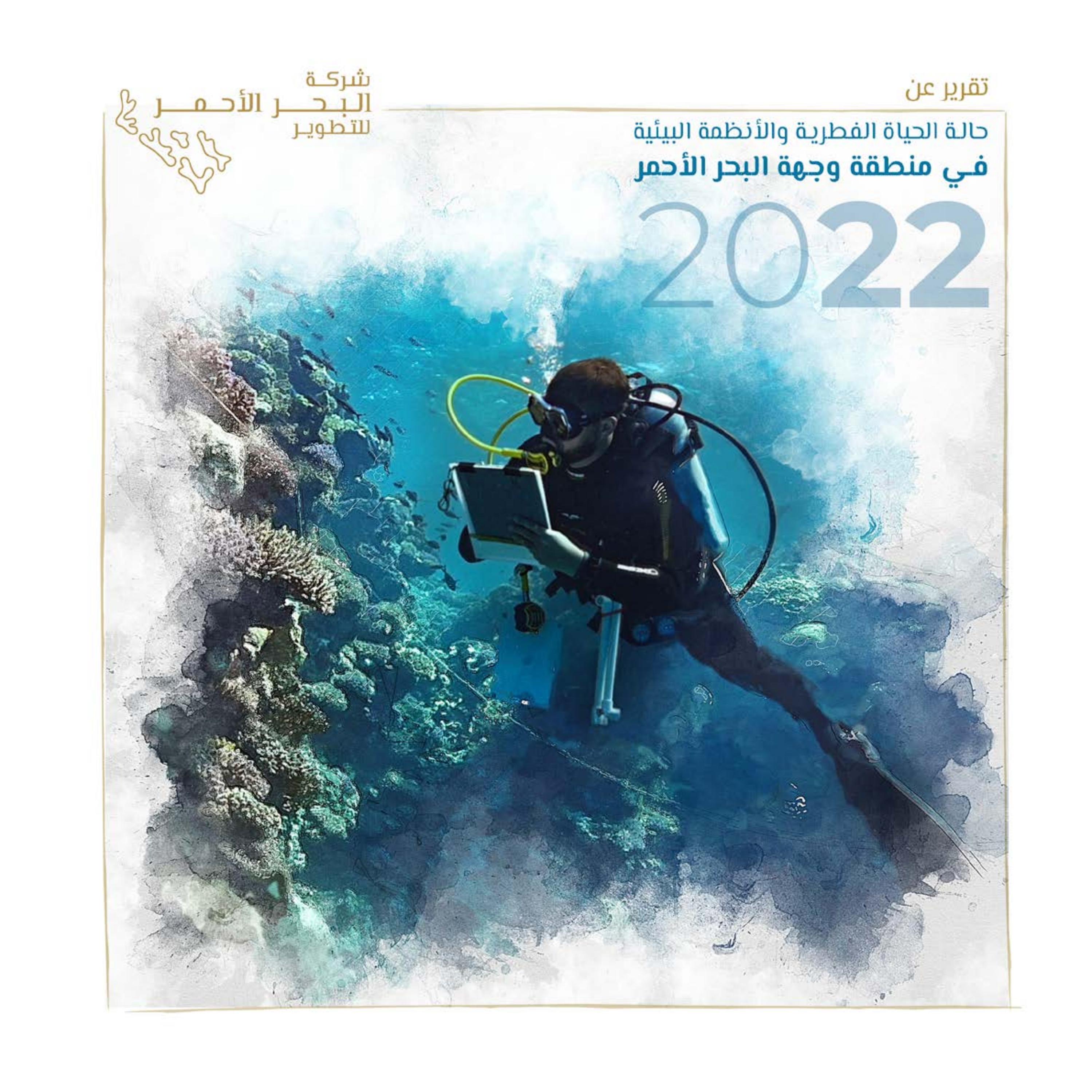 RSG Arabic Baseline Survey by Red Sea Global - Issuu