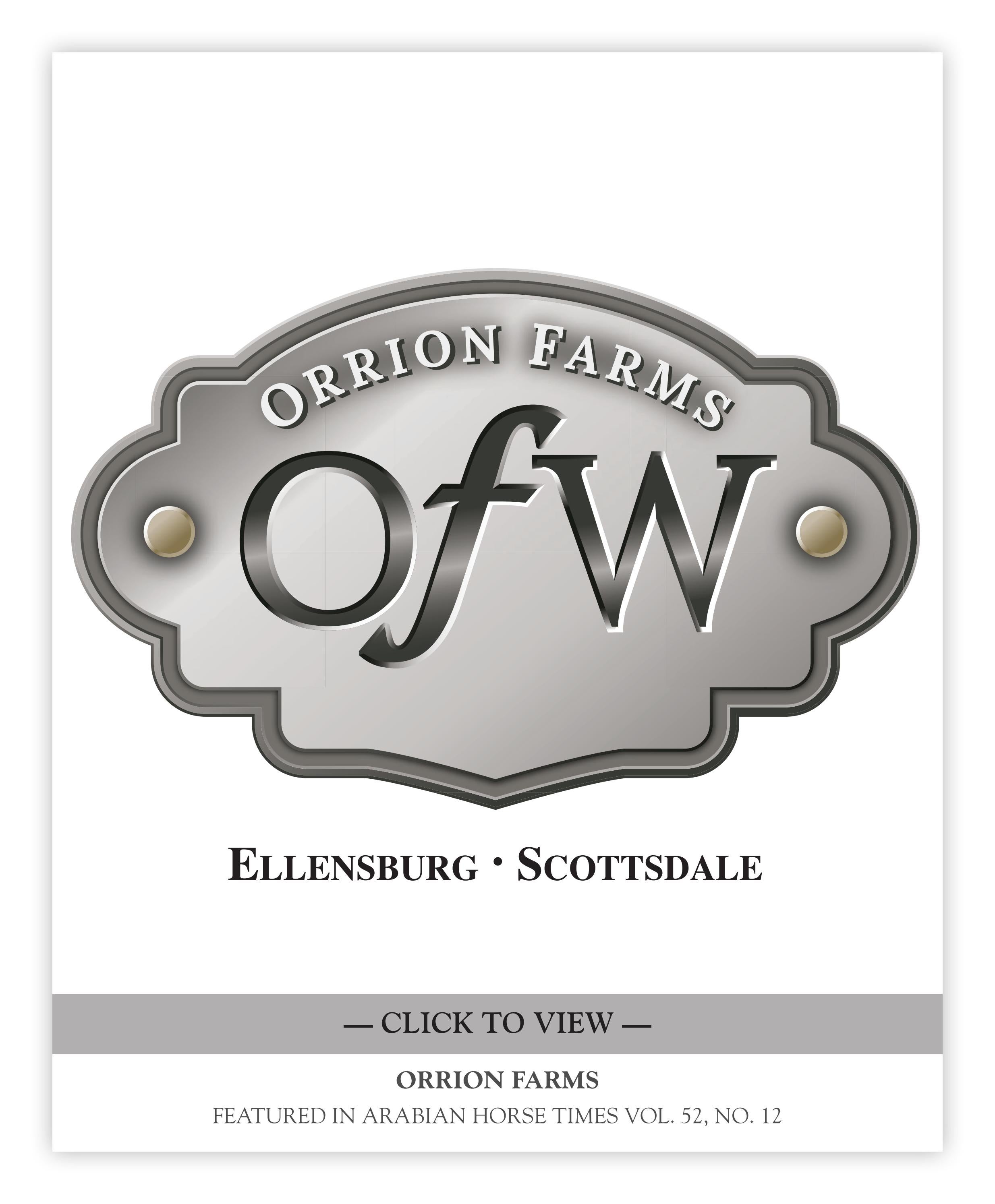 AHT Vol. 52 No. 12 - Orrion Farms by Arabian Horse Times - Issuu