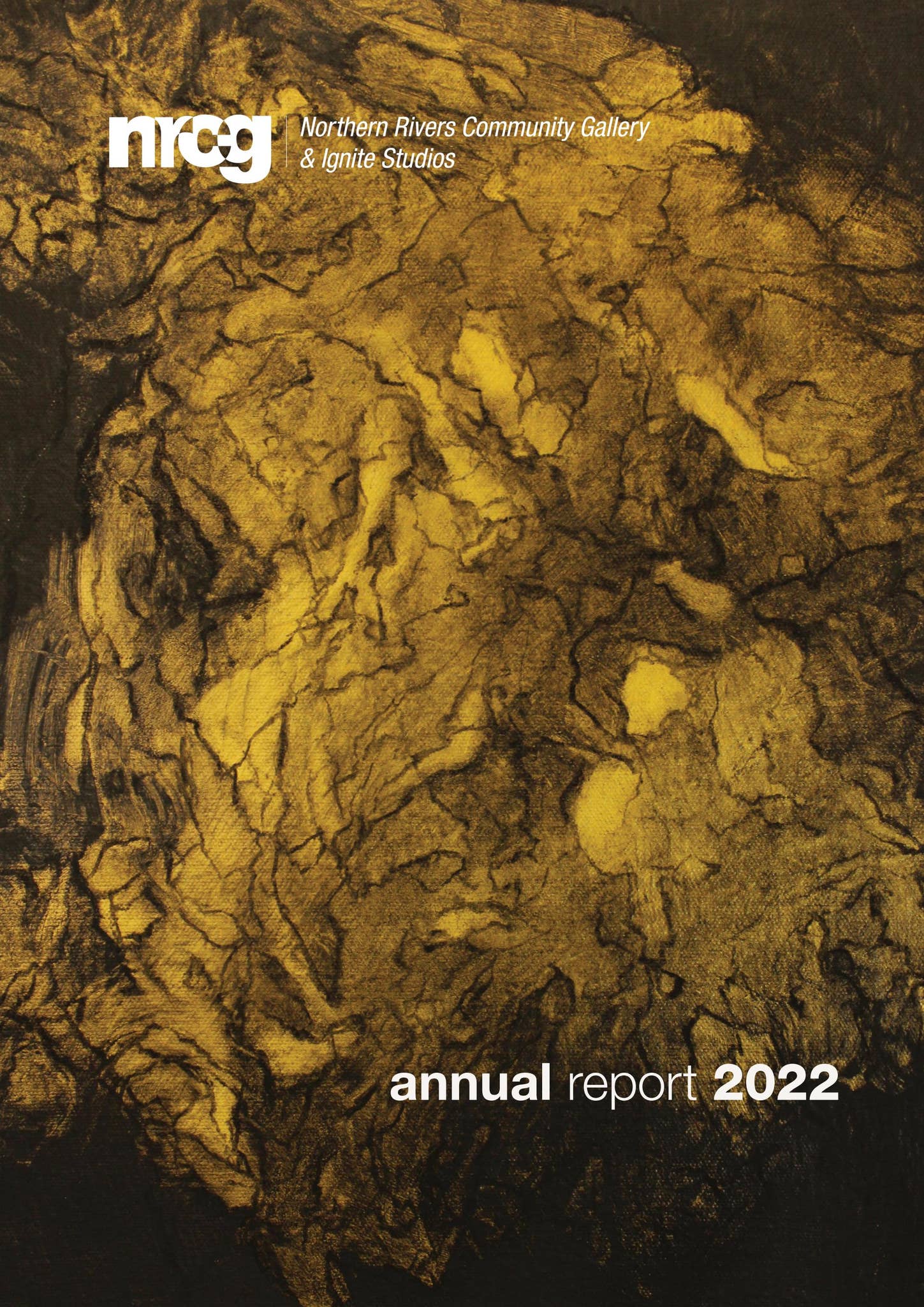 2022 Annual Report - NRCG & Ignite Studios by nrcgballina - Issuu
