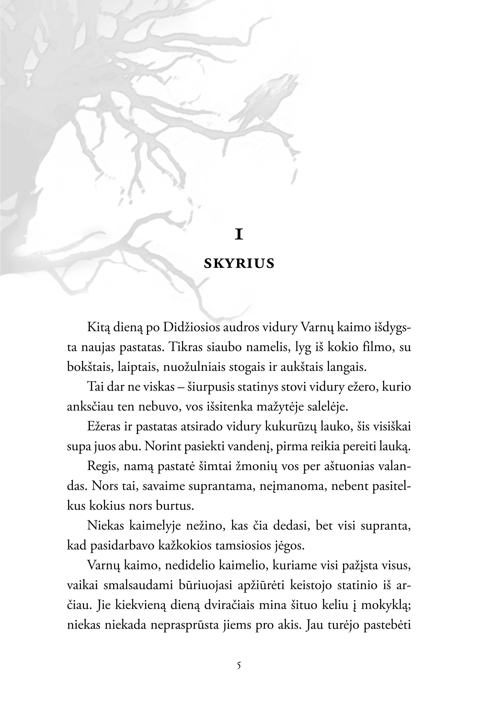 Tamsos mokykla. Pirma knyga by knygos.lt - Issuu