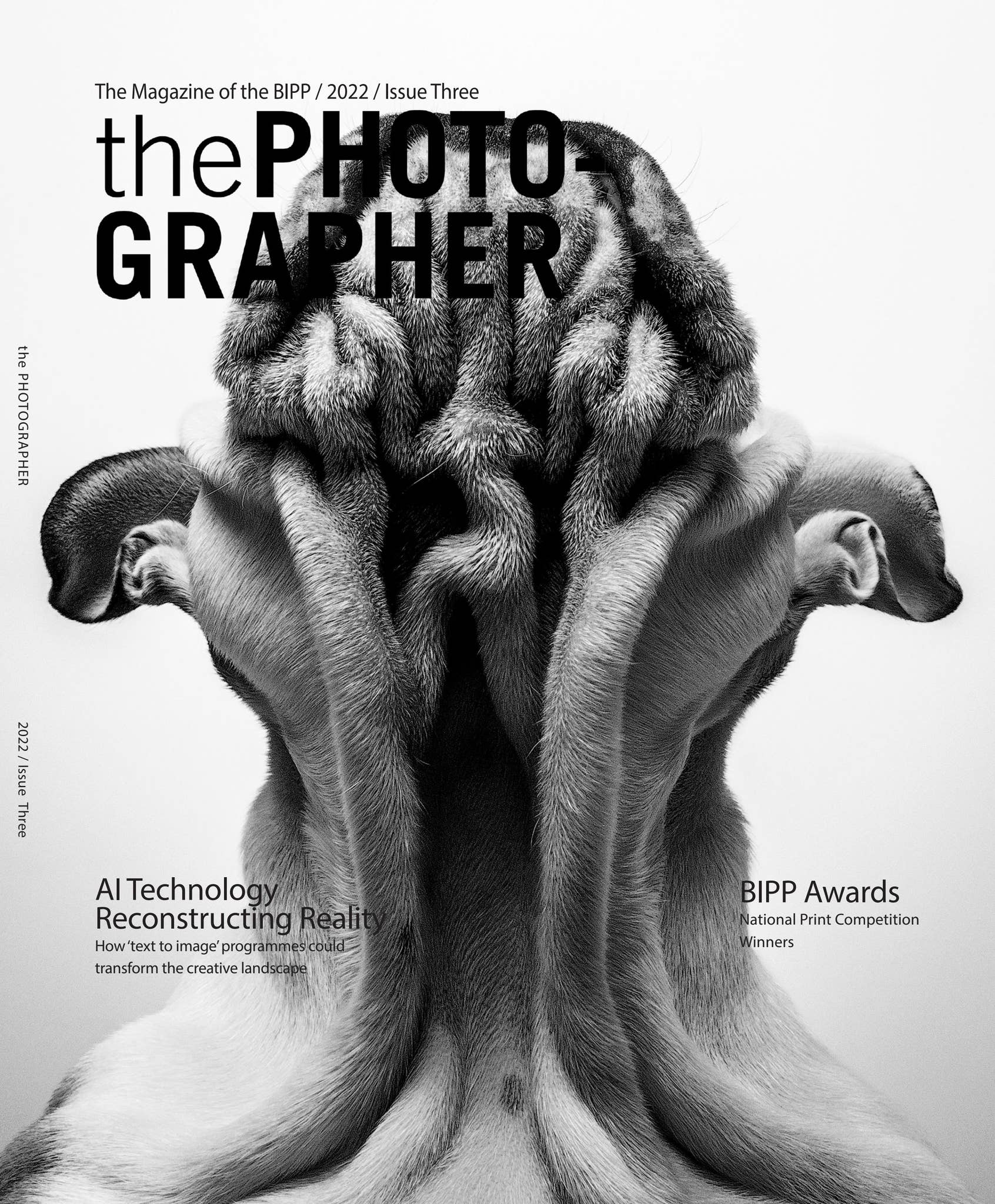 the Photographer - Issue Three 2022 by British Institute of ...