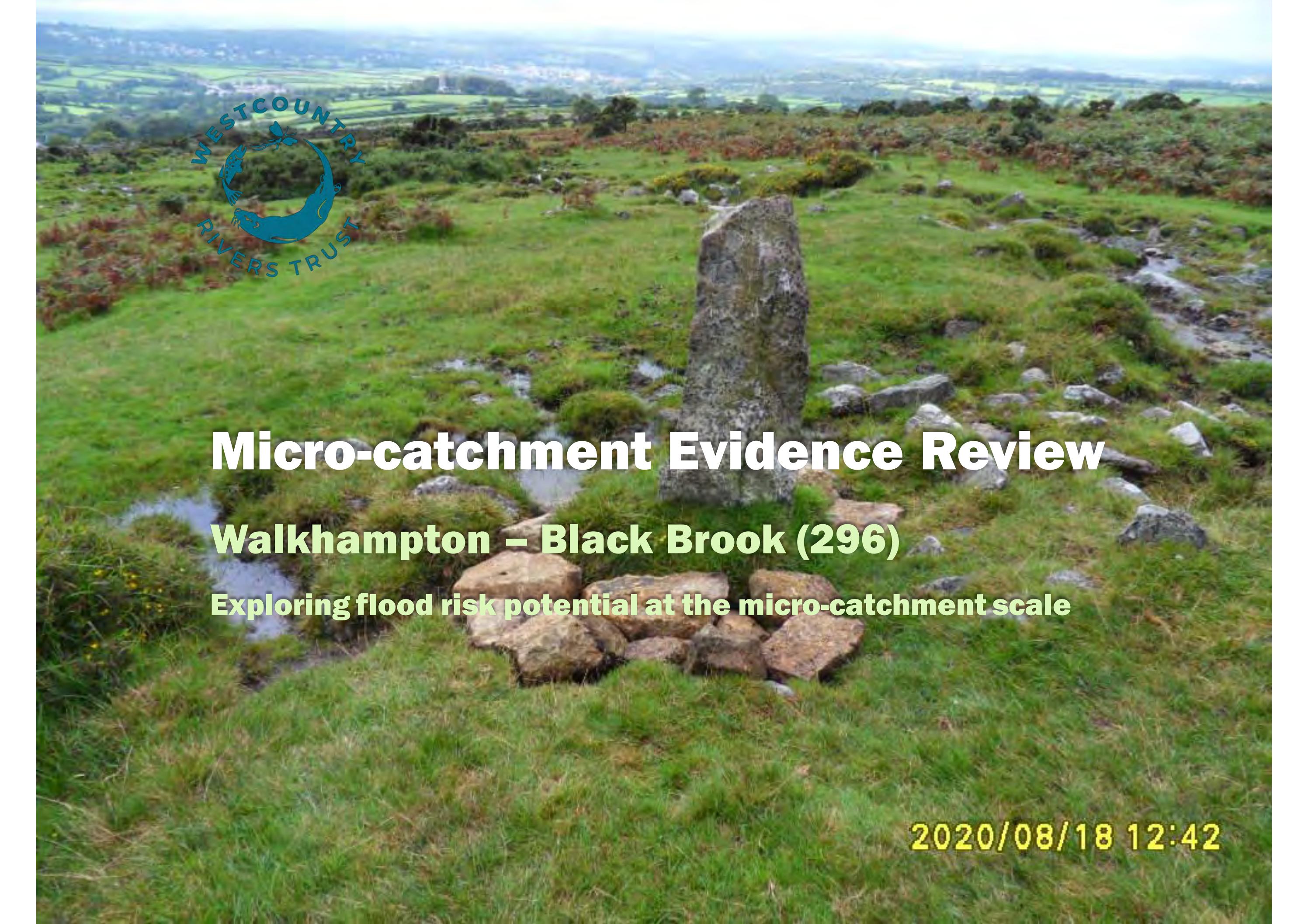 Micro-catchment Evidence Review - Walkhampton - Black Brook by ...